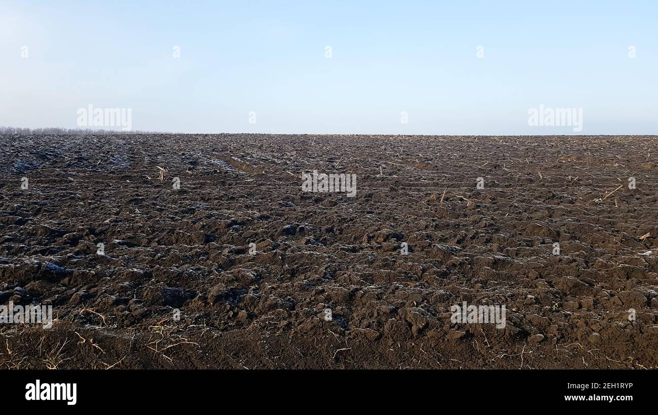 Agricultural field plowed by tractors under blue sky. The field has ...