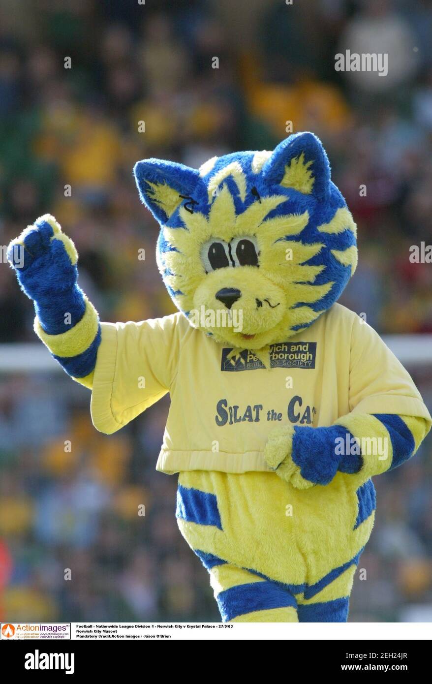 Norwich City Mascot High Resolution Stock Photography and Images - Alamy