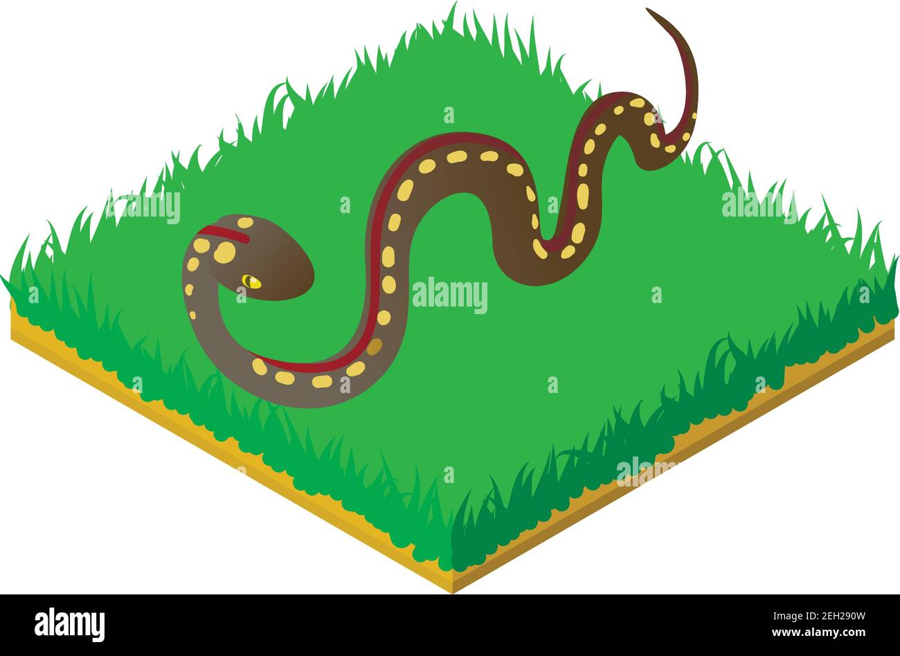 Desert snake icon. Isometric illustration of desert snake vector icon ...