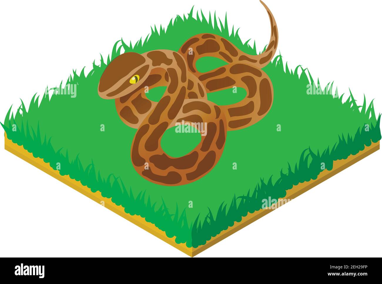 Boa constrictor icon. Isometric illustration of boa constrictor vector ...