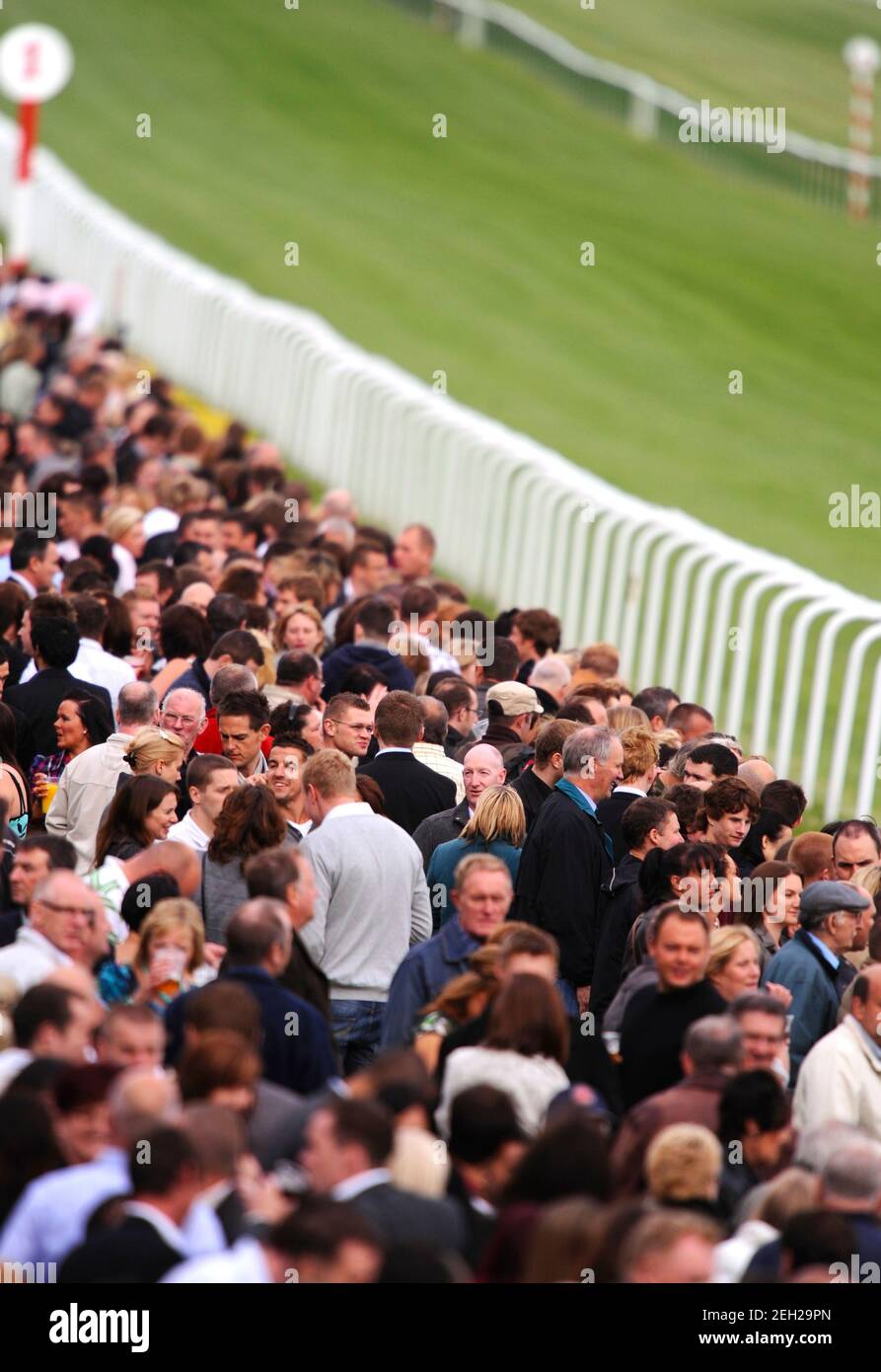 Haydock Park Races High Resolution Stock Photography and Images - Alamy