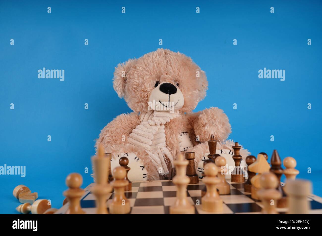 Cuddly toy image hi-res stock photography and images - Alamy