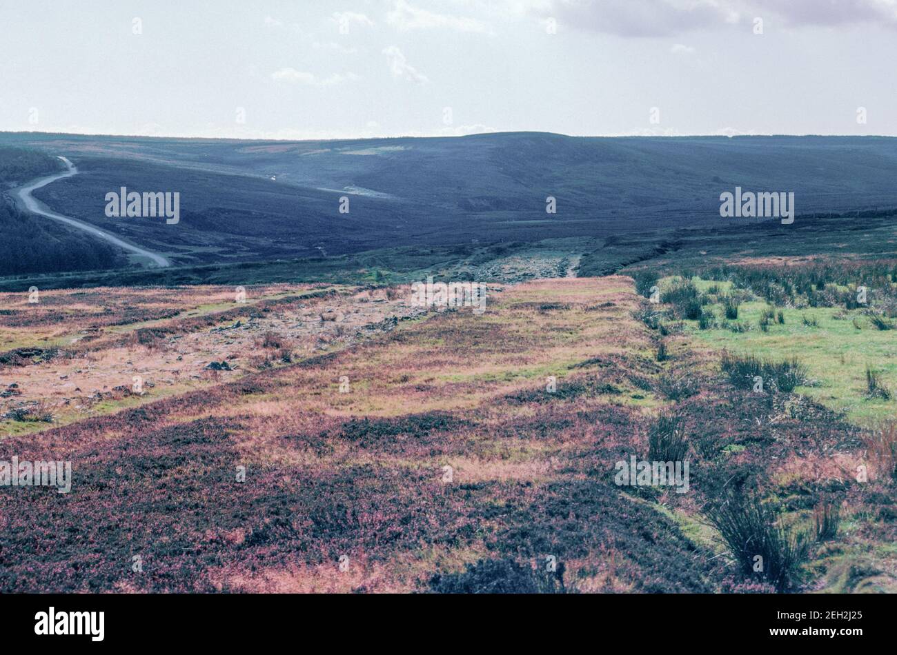 Wheeldale, North Yorkshire, England - enigmatic mile-long stretch of ...
