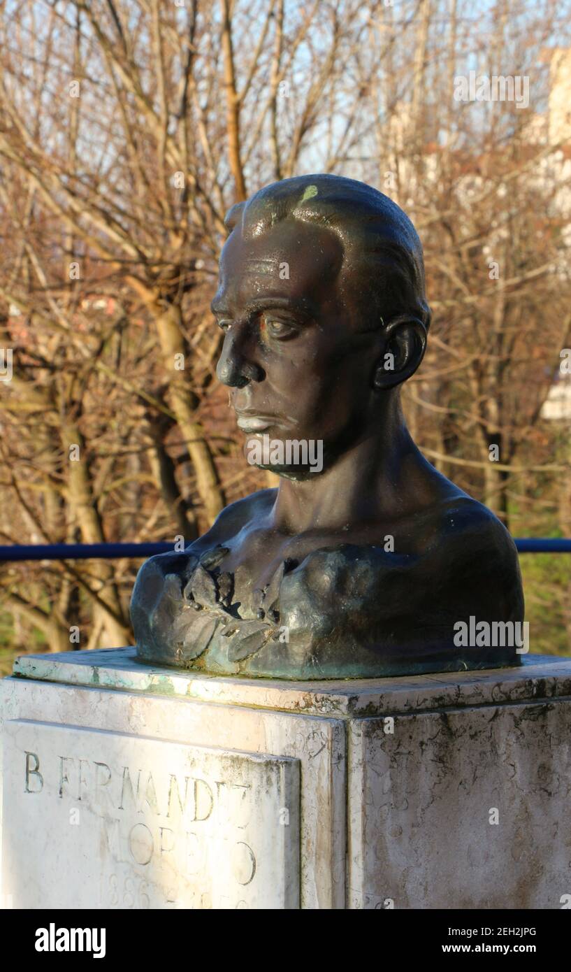 Bronze sculpture of Argentine poet and doctor Baldomero Fernández ...