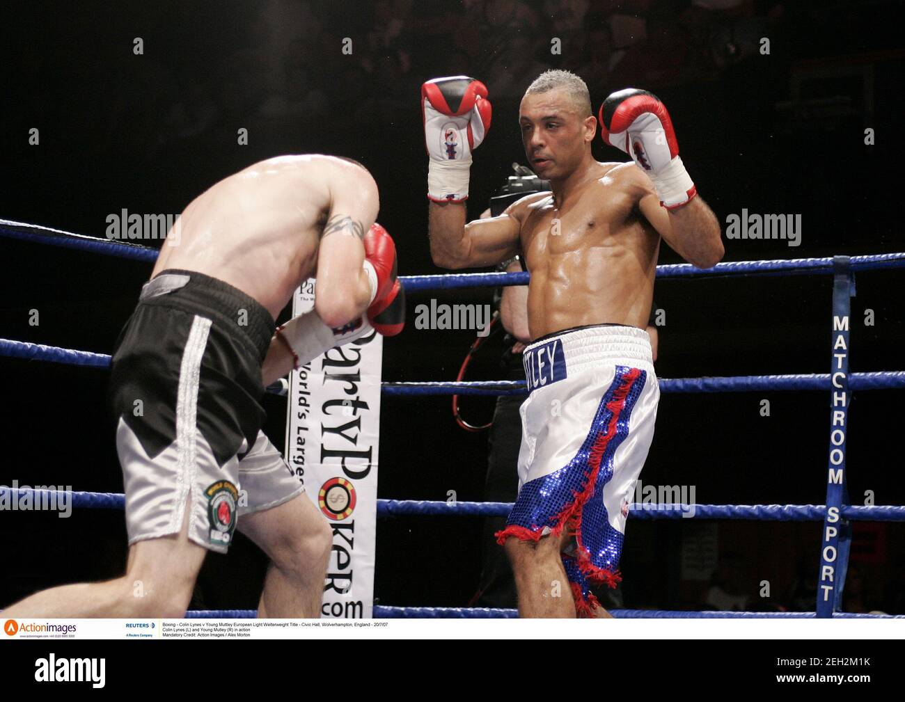 Young Mutley High Resolution Stock Photography and Images - Alamy