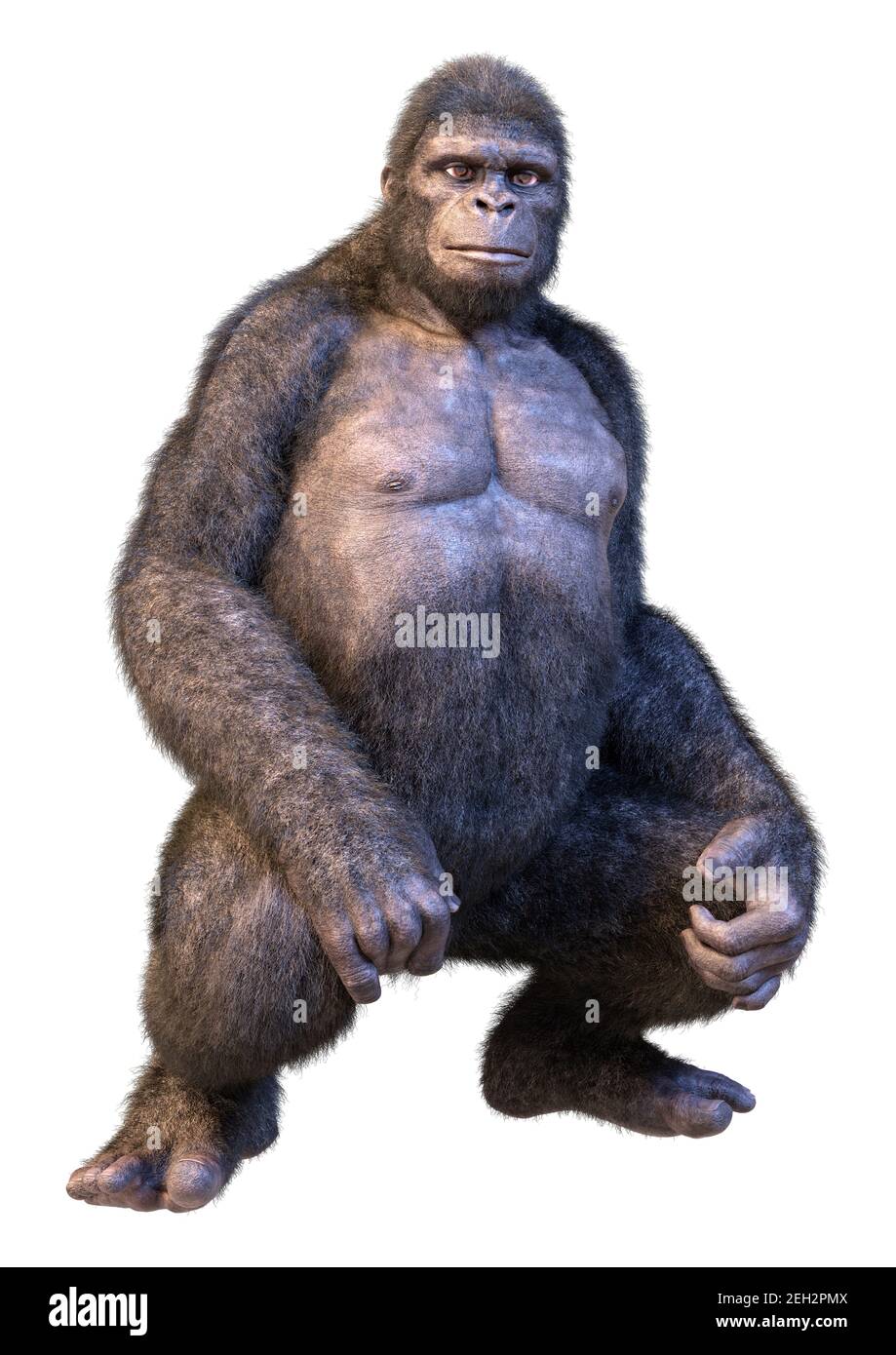 3D rendering of a gorilla ape isolated on white background Stock Photo ...