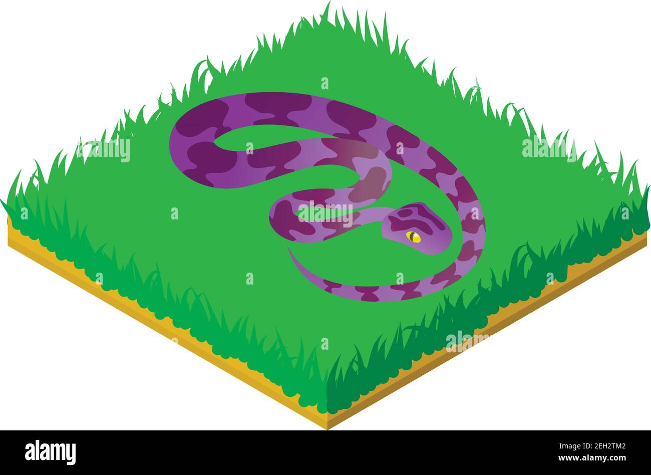 Creeping snake icon. Isometric illustration of creeping snake vector ...