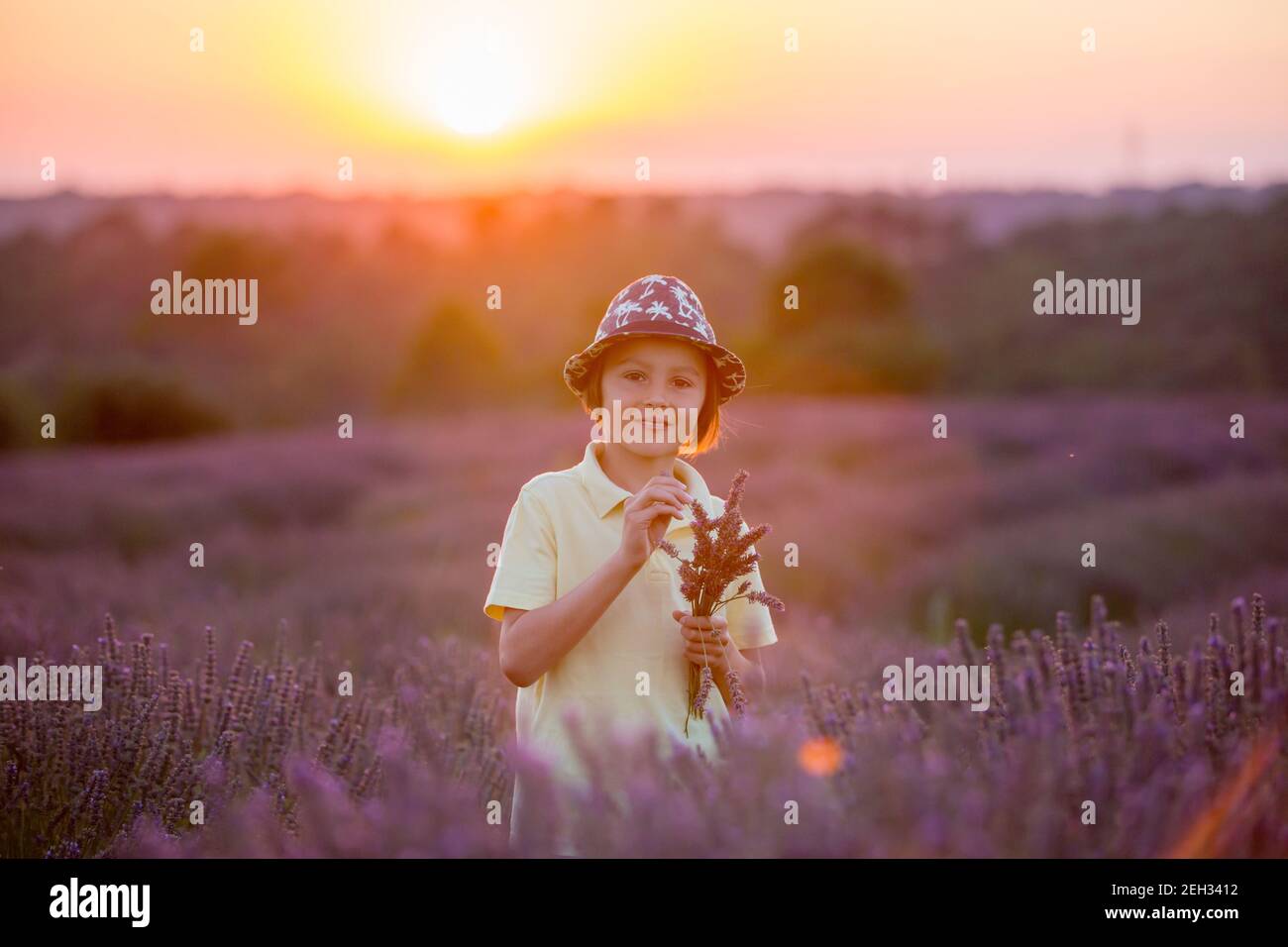 Cute little child, beautiful boy, playing in lavender field on sunset ...