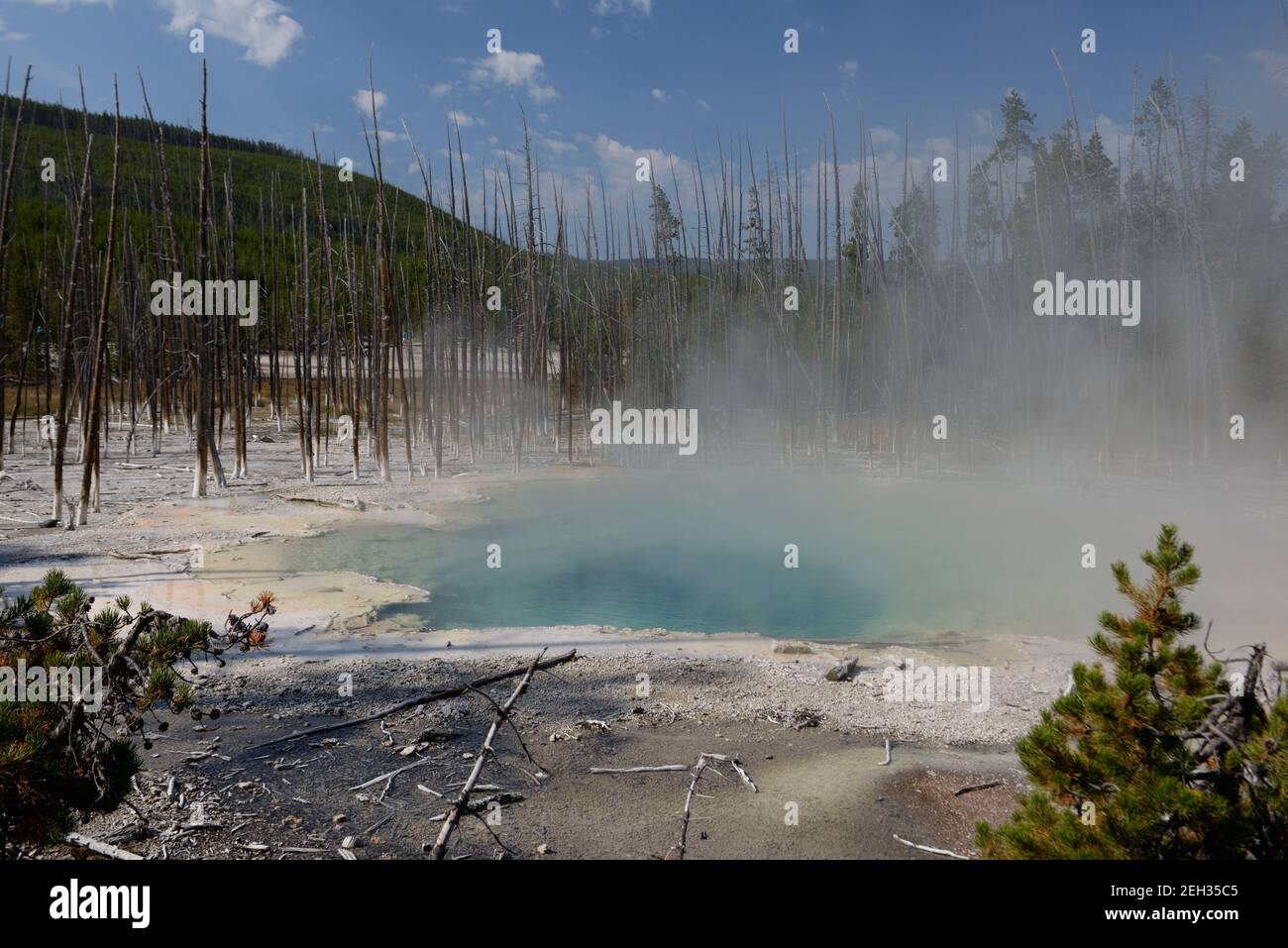 Yellowstone and geothermal features hi-res stock photography and images ...