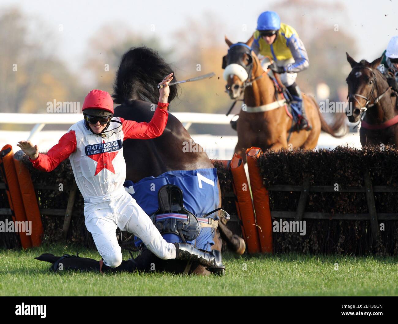 Unseated Horse High Resolution Stock Photography and Images - Alamy
