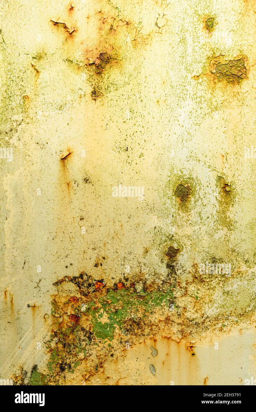 Rust and lichen on yellow painted metal surface Stock Photo - Alamy