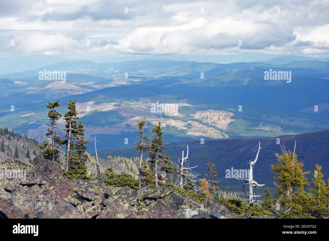 Overlooking industrial timberlands of southeast British Columbia in the ...
