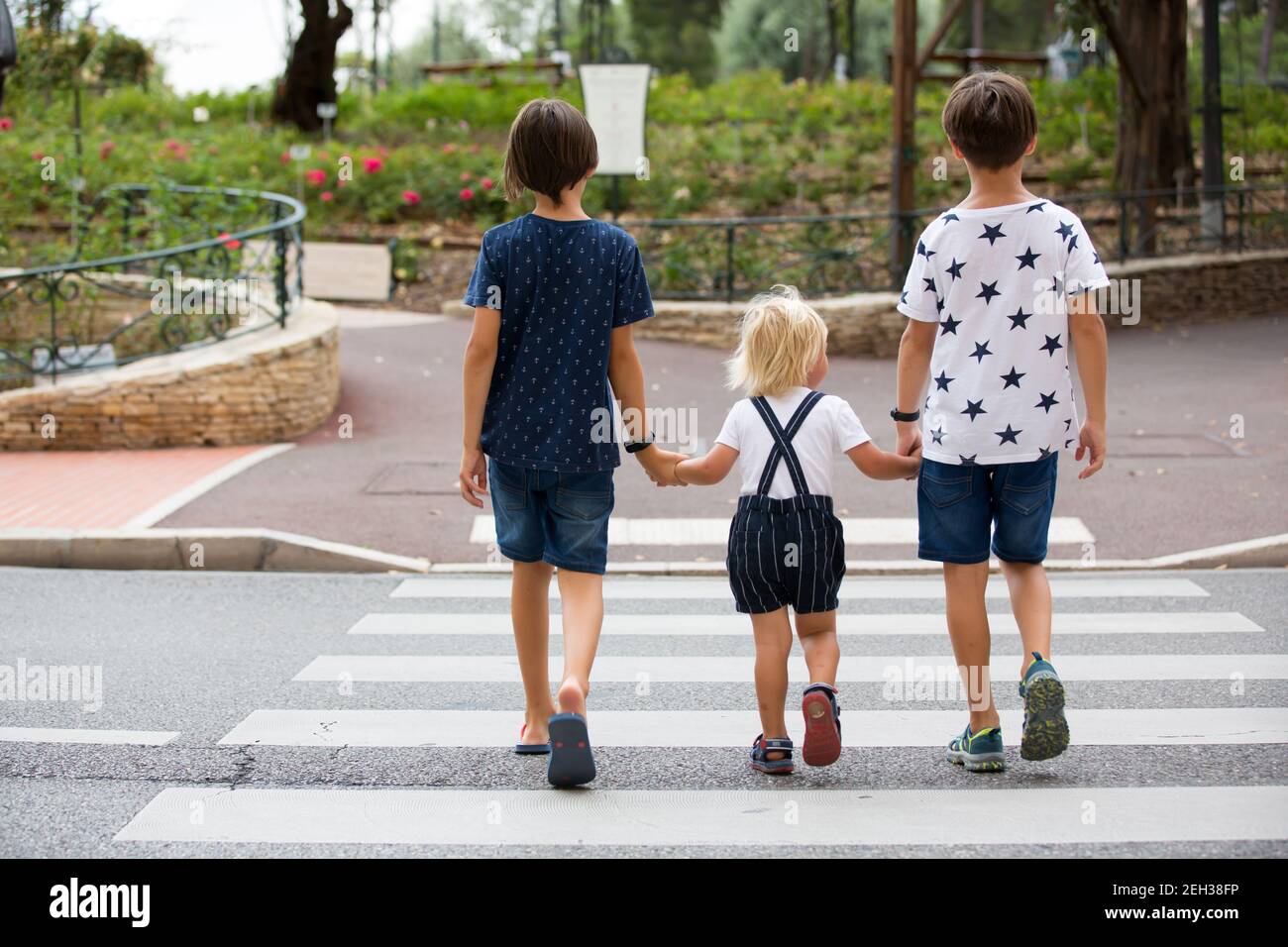 Children, boy brothers, siblings holding hands and crossing crosswalk ...