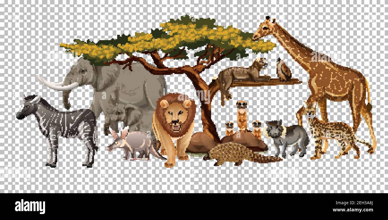 Group of wild african animal on transparent background illustration ...