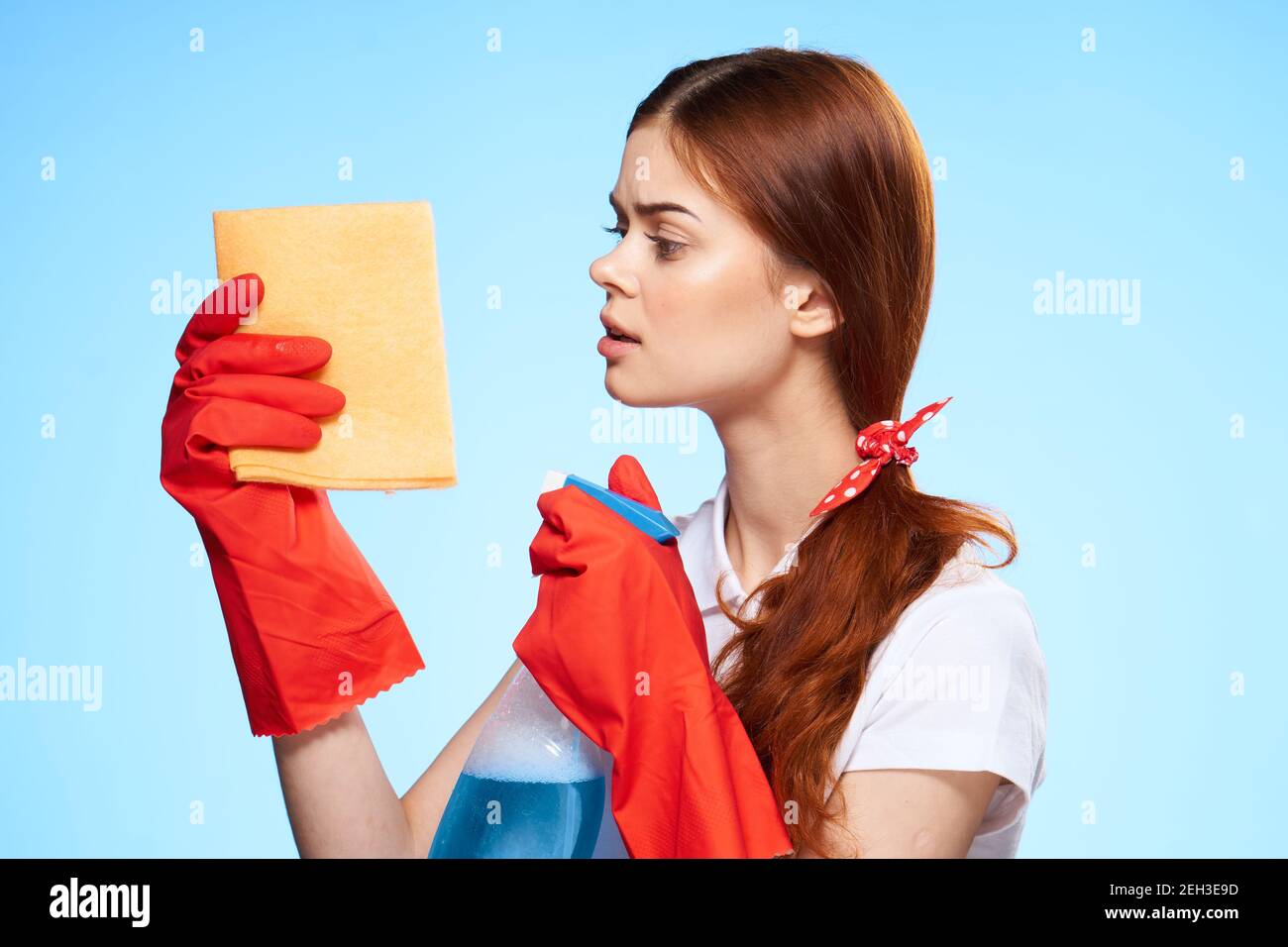 professional cleaning lady detergent with a rag in her hands working ...