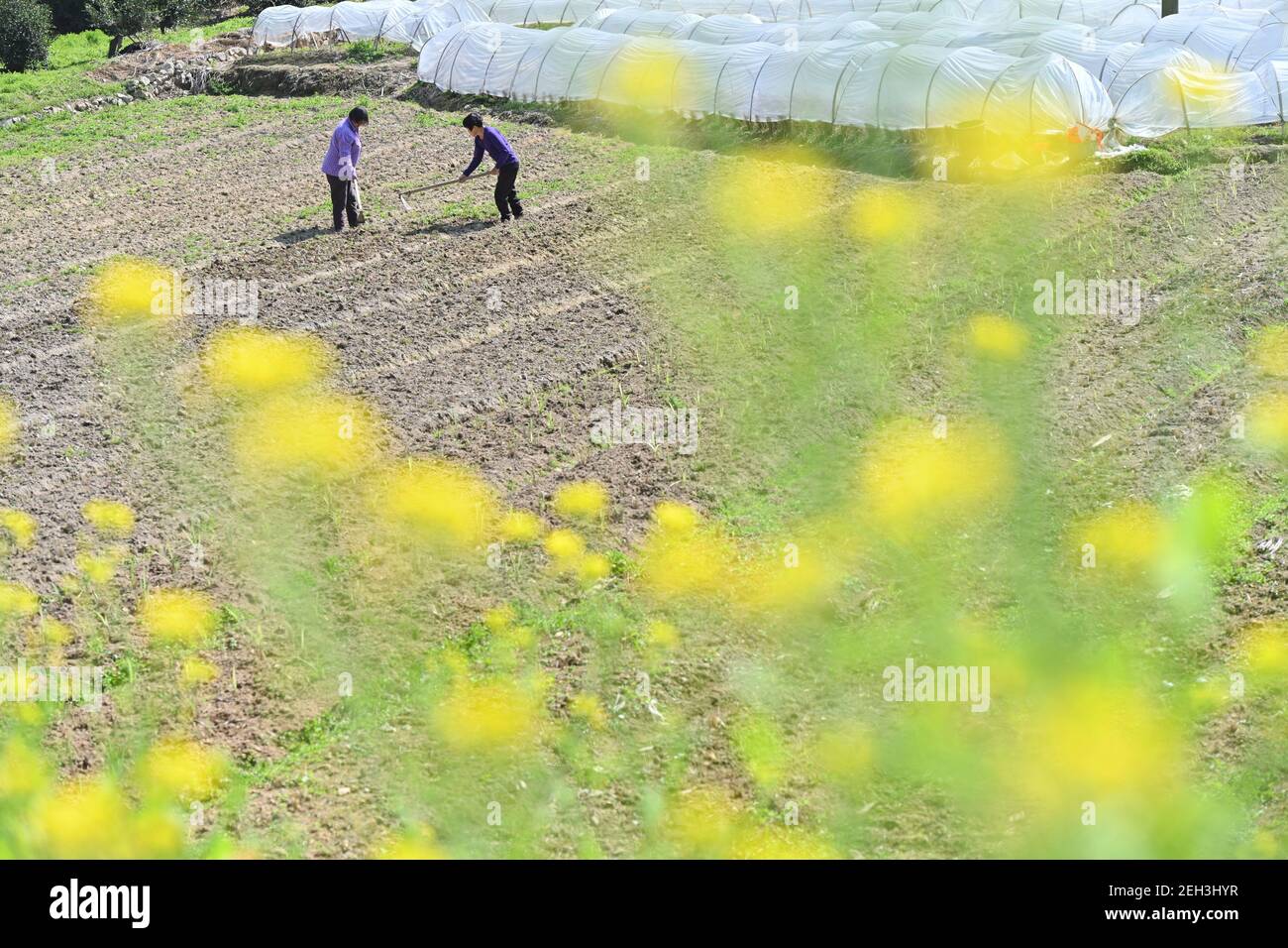 Minqing hi-res stock photography and images - Alamy