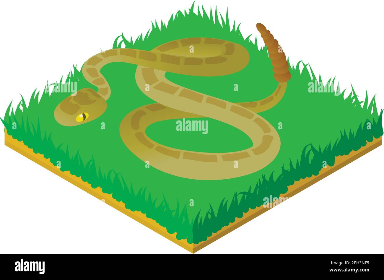 Rattlesnake icon. Isometric illustration of rattlesnake vector icon for ...