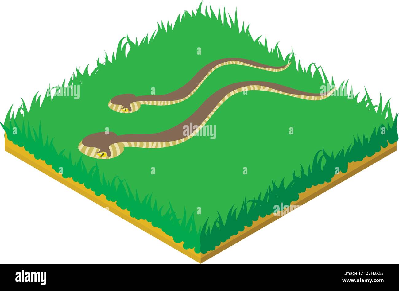 Common viper icon. Isometric illustration of common viper vector icon ...