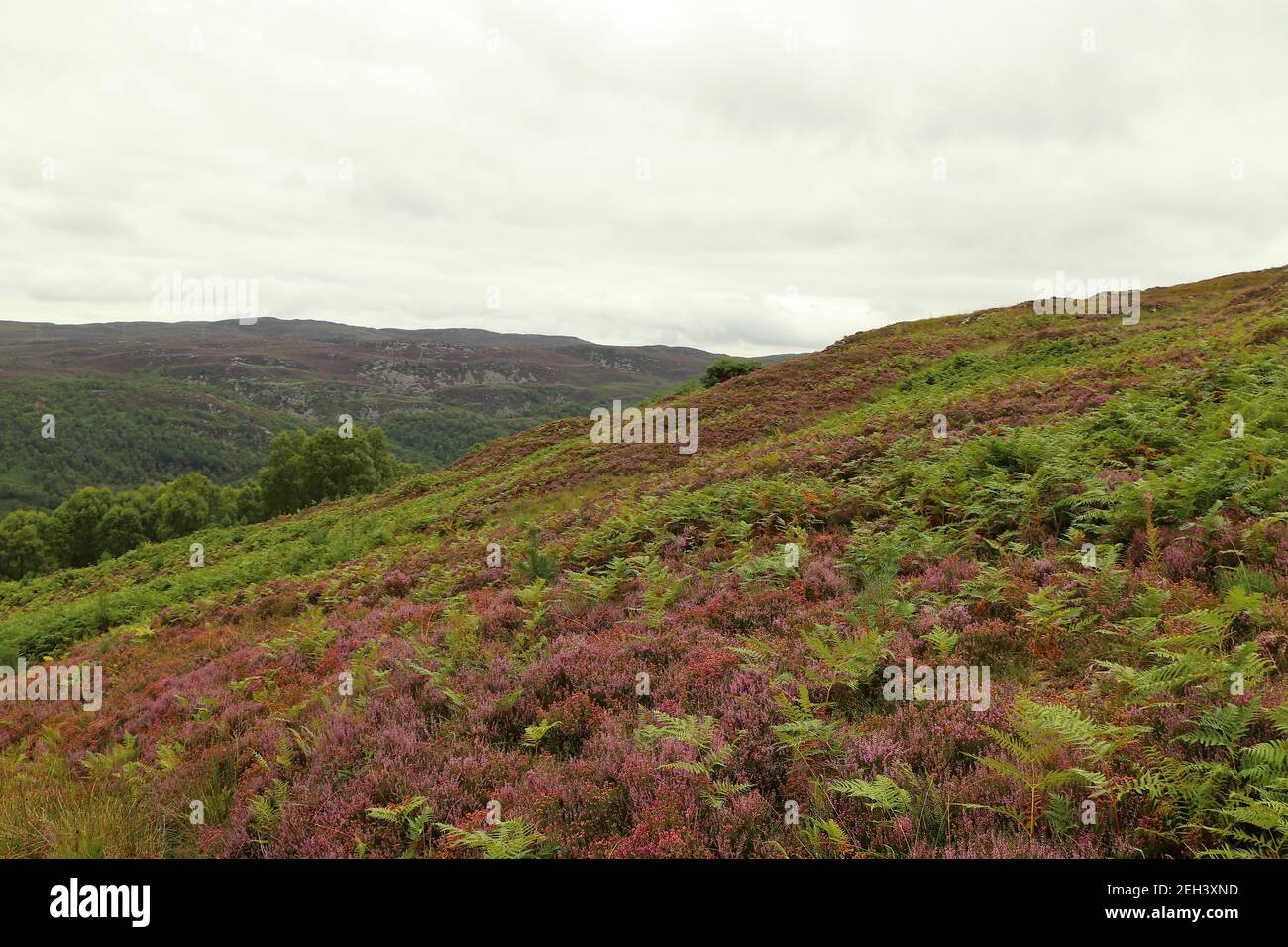Struy scotland hi-res stock photography and images - Alamy