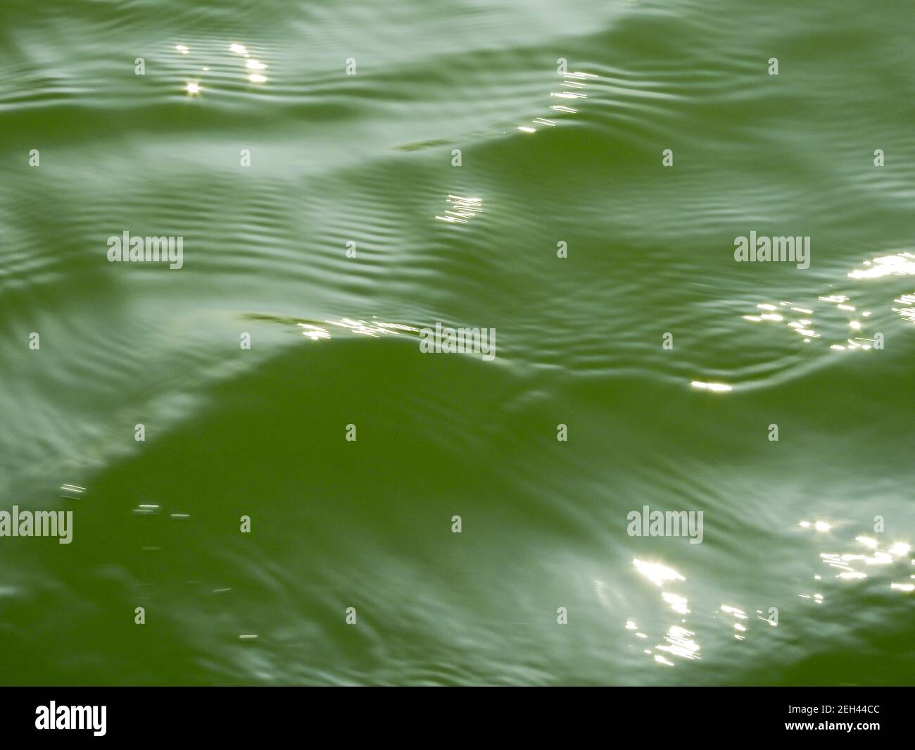 Closeup shot of sun rays reflecting in the wavy water Stock Photo - Alamy