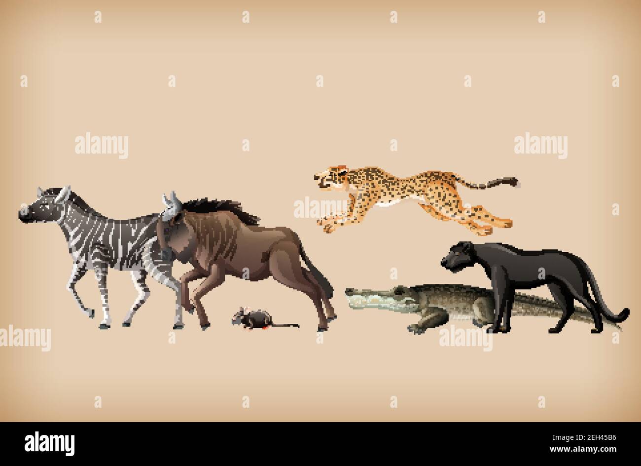 Group of wild animal on background illustration Stock Vector Image ...