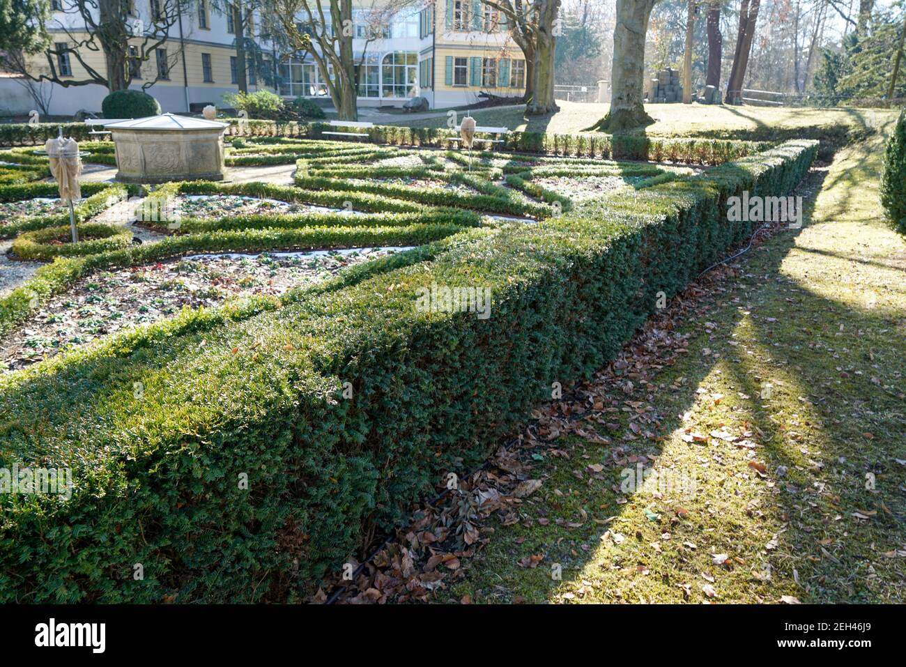 Autumn city park with green hedges, dry fall leaves covering the lawn ...