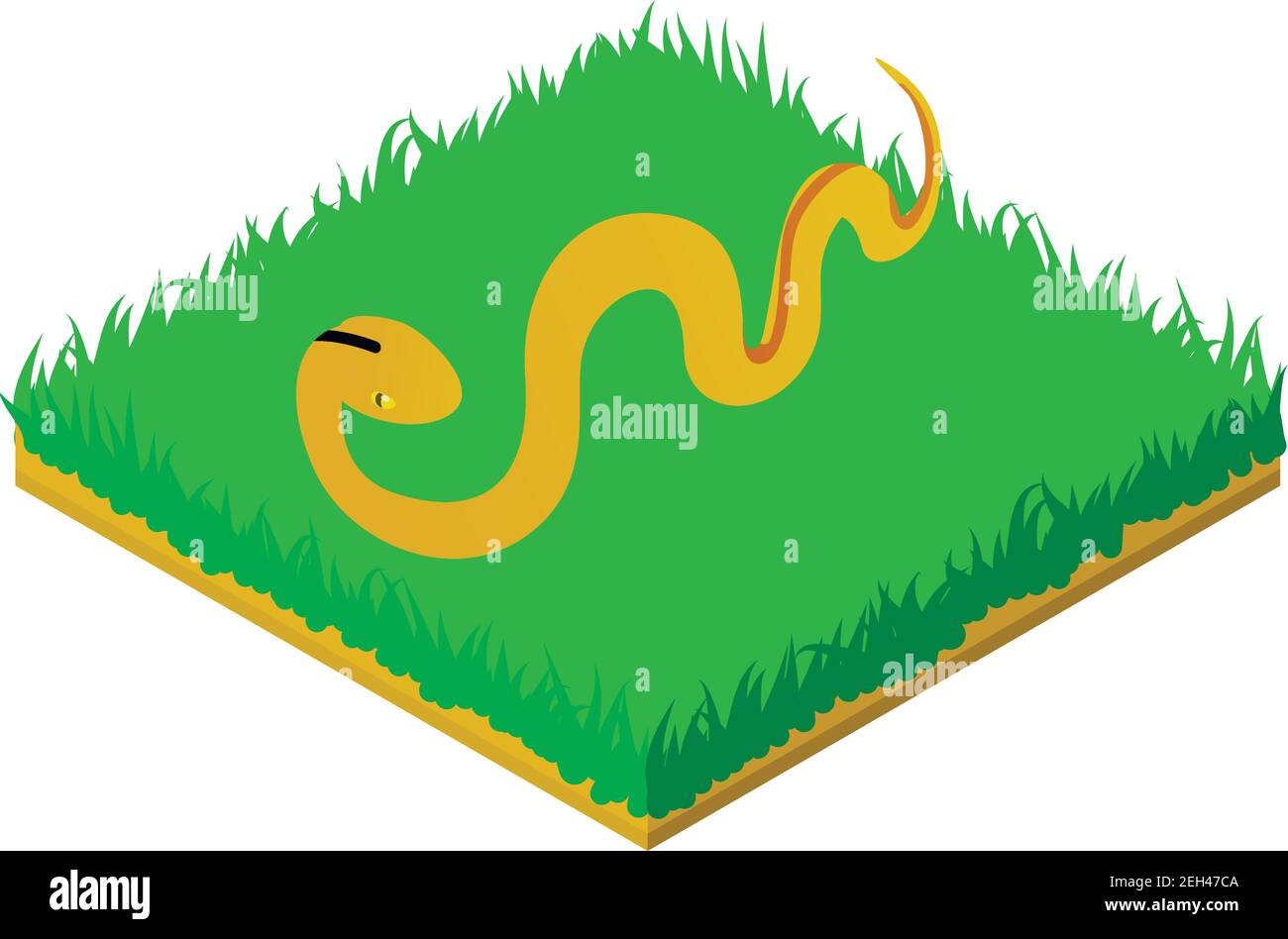 Yellow snake icon. Isometric illustration of yellow snake vector icon ...