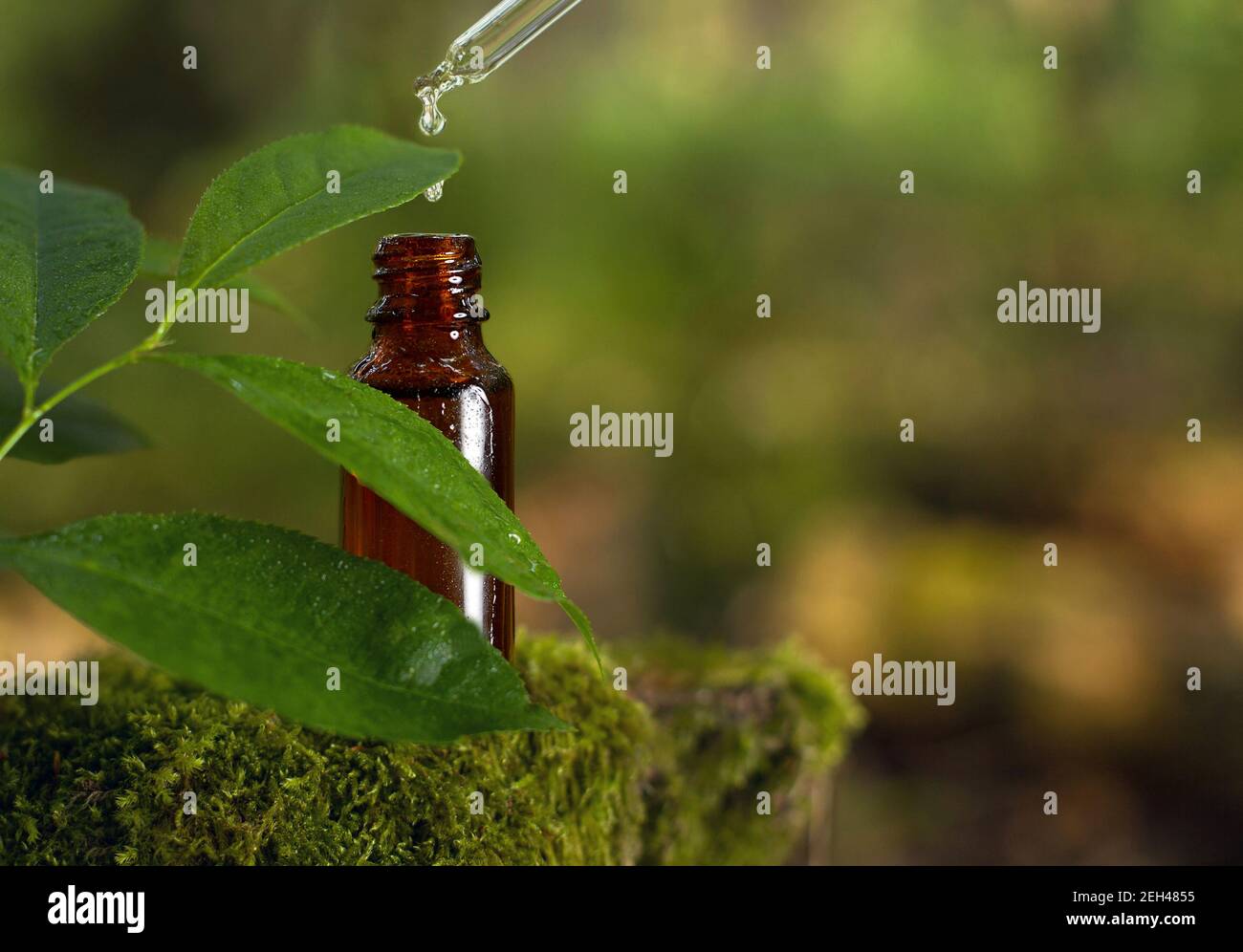 Herbal, alternative medicine, water drop falling from a pipette to the ...