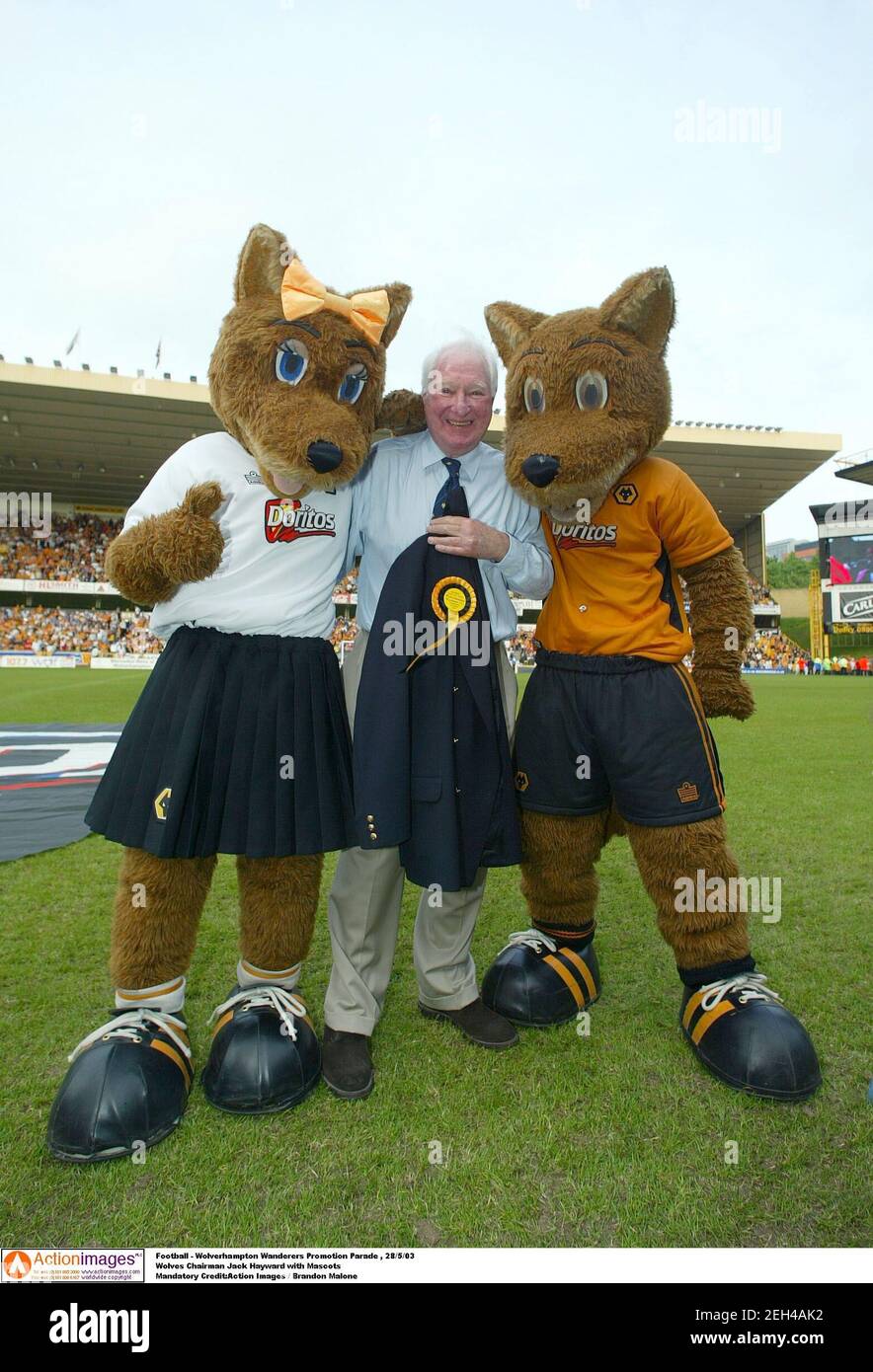Wolverhampton wolves mascots hi-res stock photography and images - Alamy