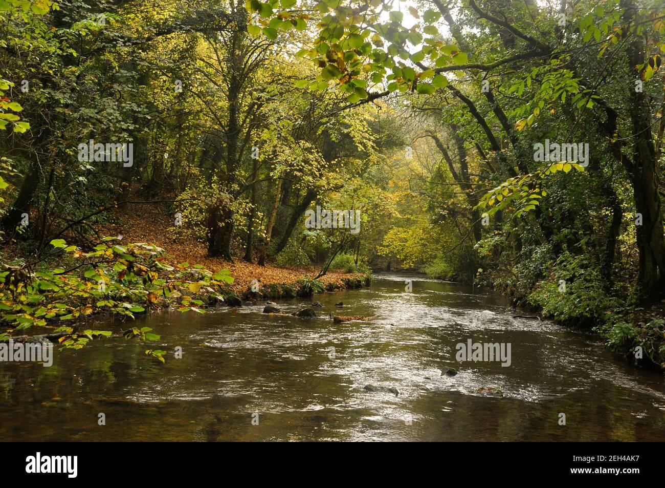 Frome, somerset valley hi-res stock photography and images - Alamy