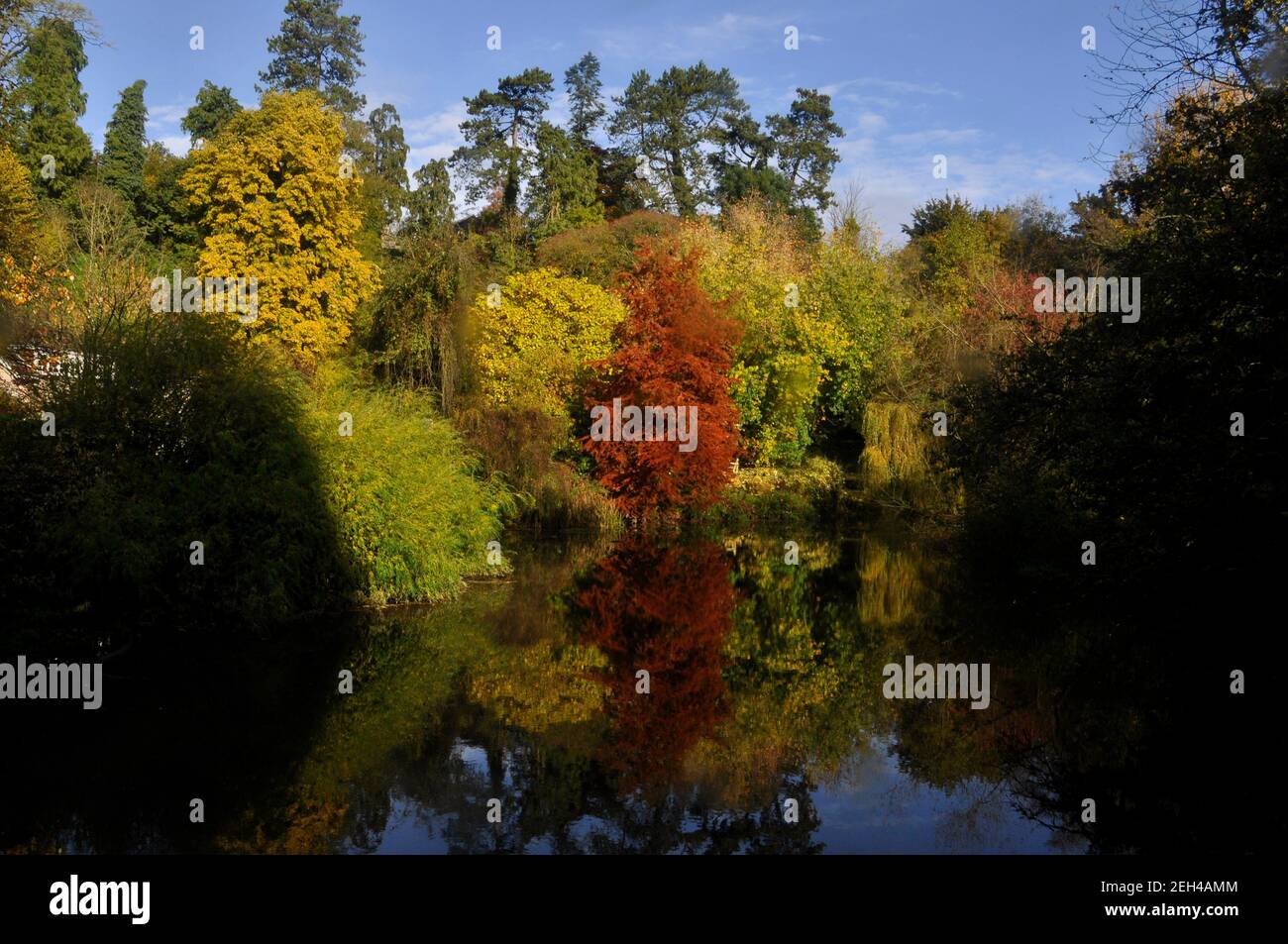 In valley of river frome hi-res stock photography and images - Alamy