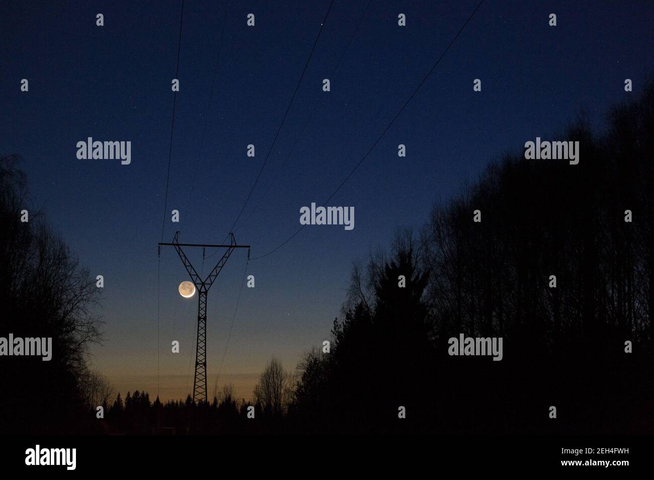 Crescent moon tree silhouette hi-res stock photography and images - Alamy