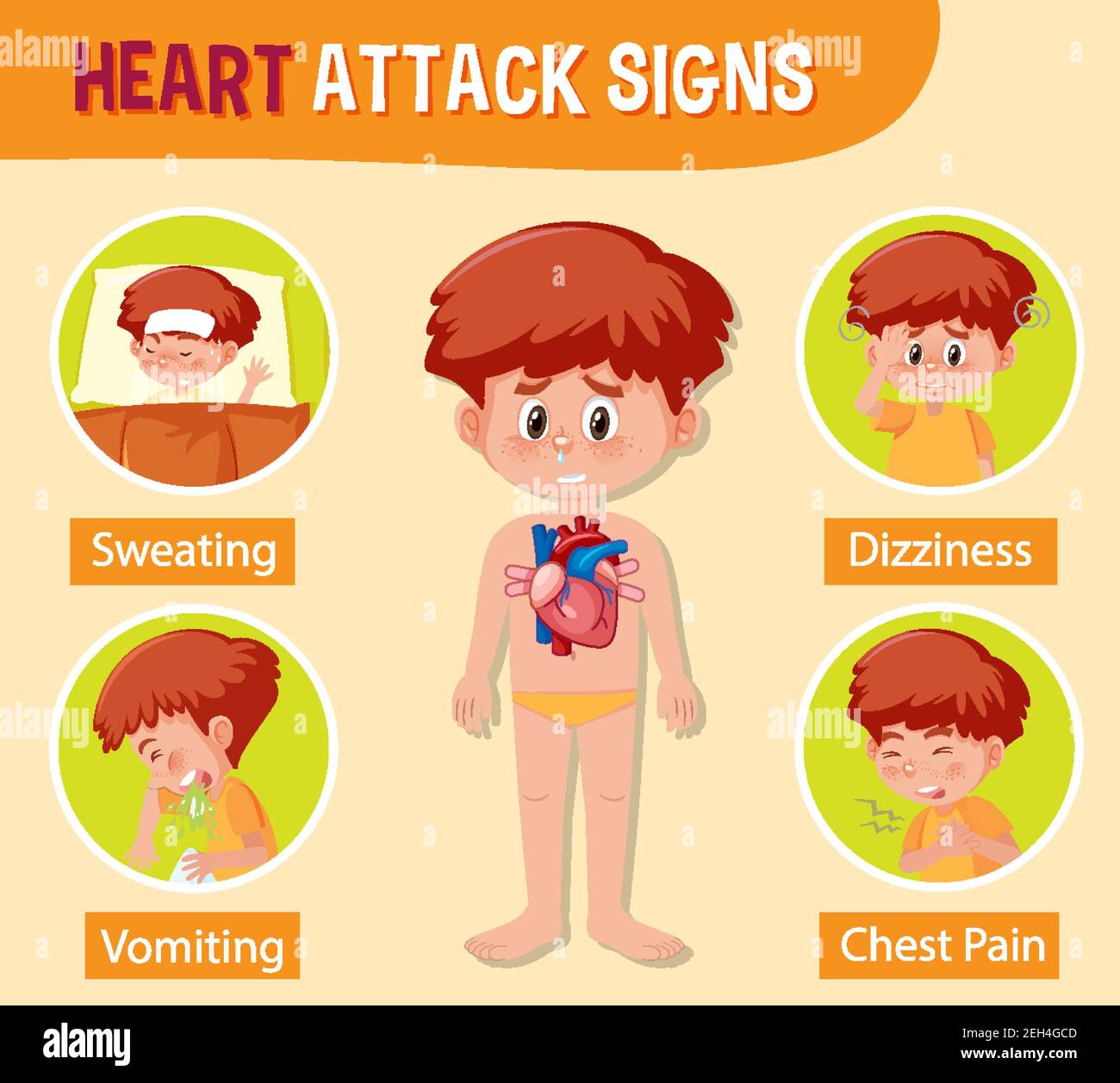 Information poster of human heart diagram illustration Stock Vector ...