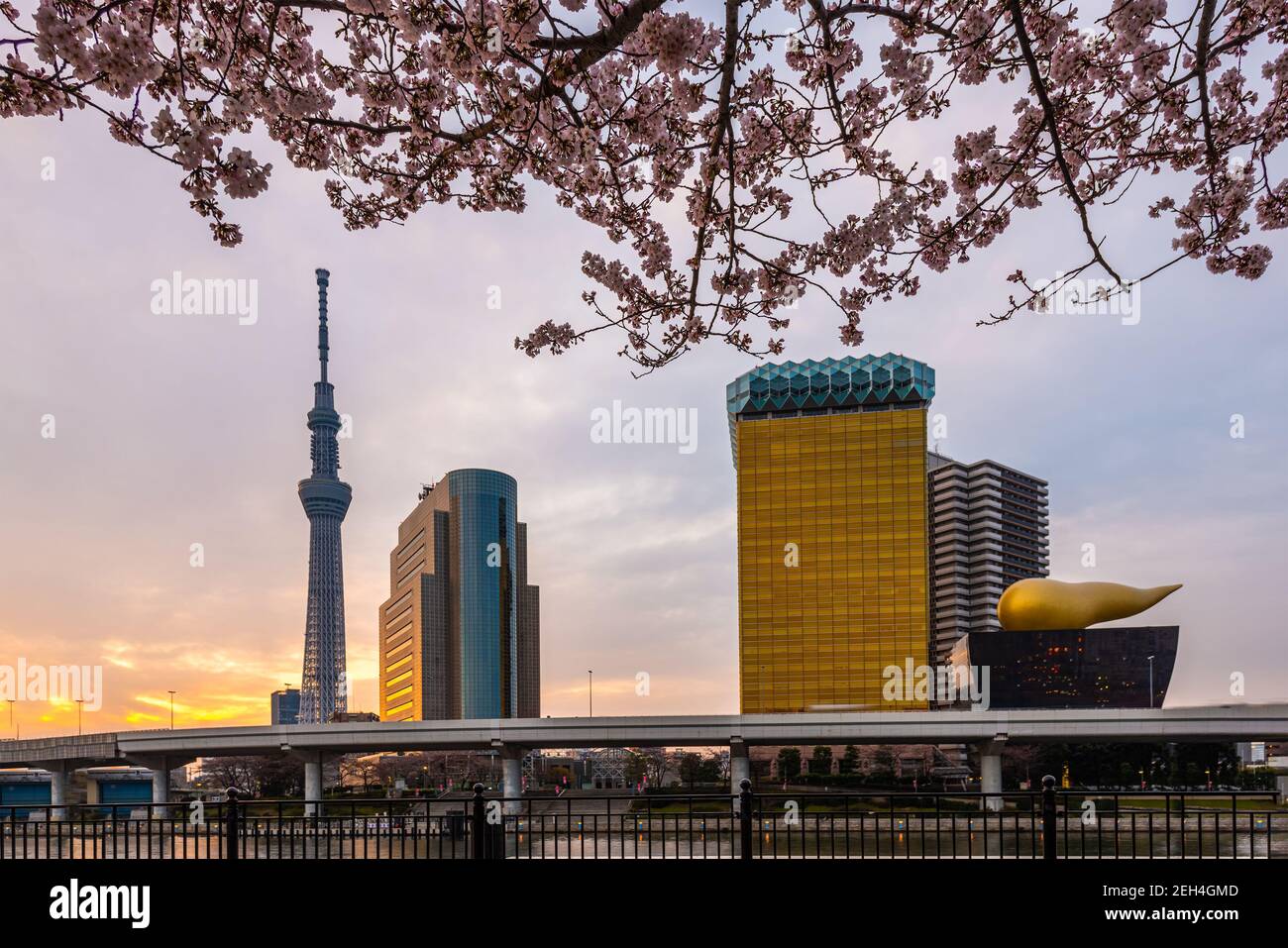 Tokyo sumida park cherry hi-res stock photography and images - Alamy