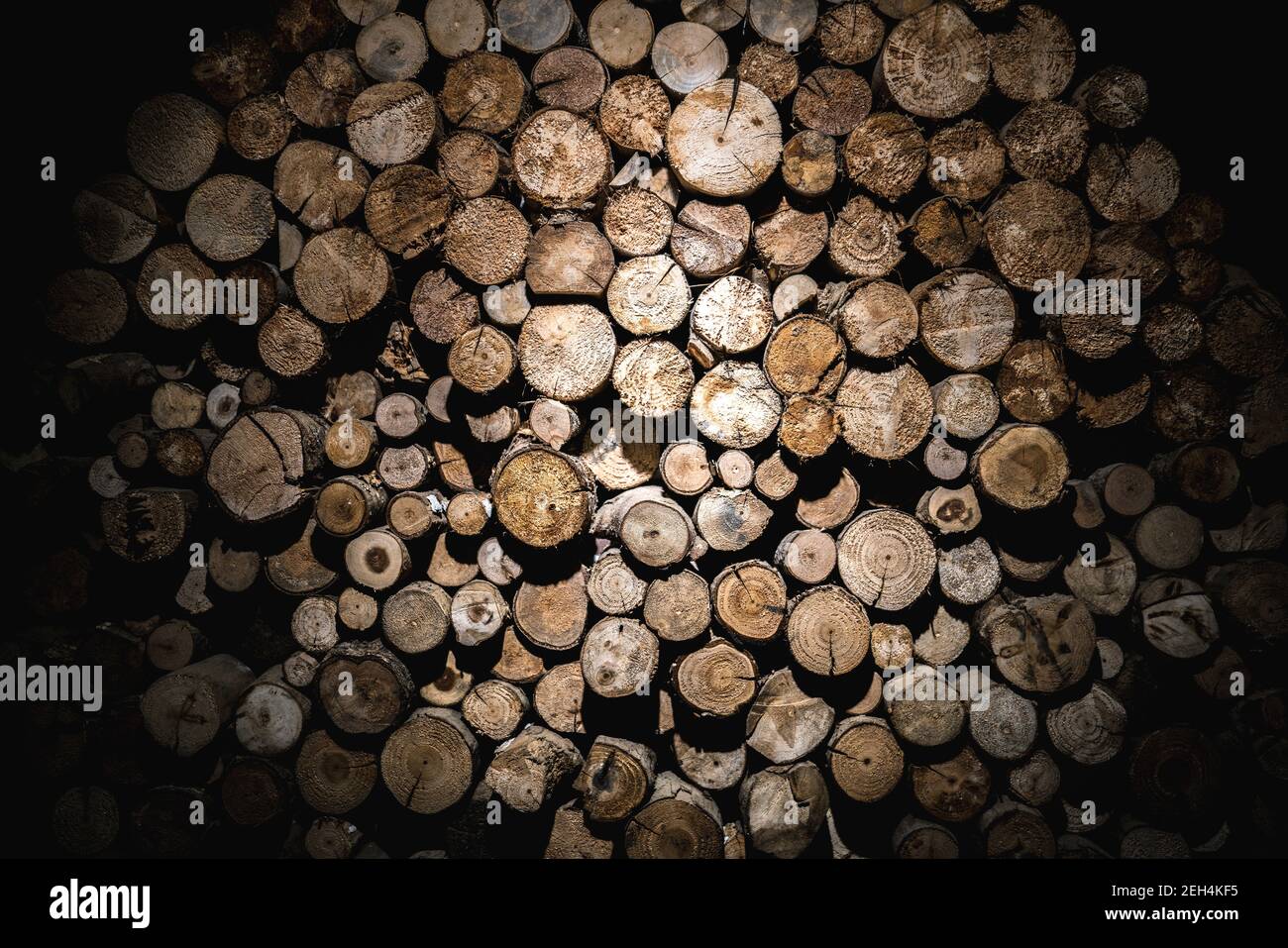Wall of Sawed Tree trunk ends with dramatic lighting and vignette ...