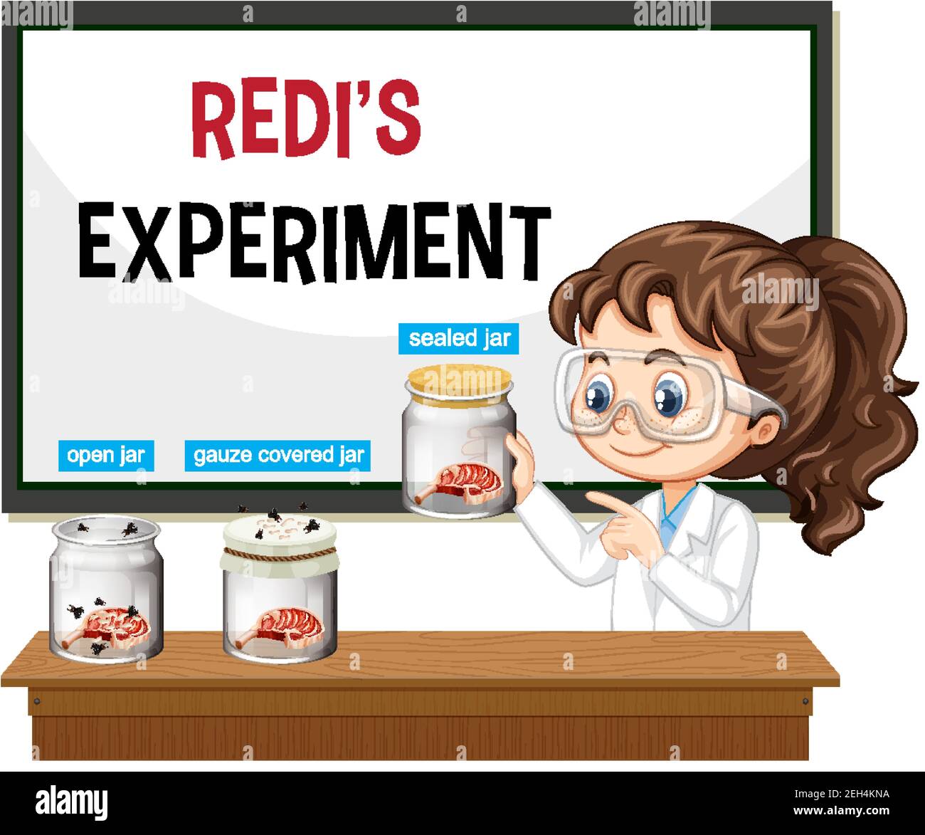 Scientist explaining redi's experiment illustration Stock Vector Image ...