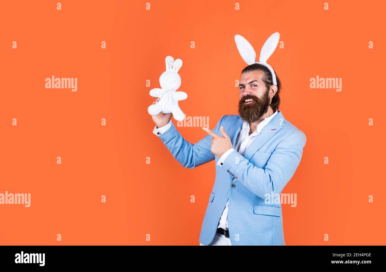 mature male wear rabbit ears. easter bunny man. happy easter. bearded ...