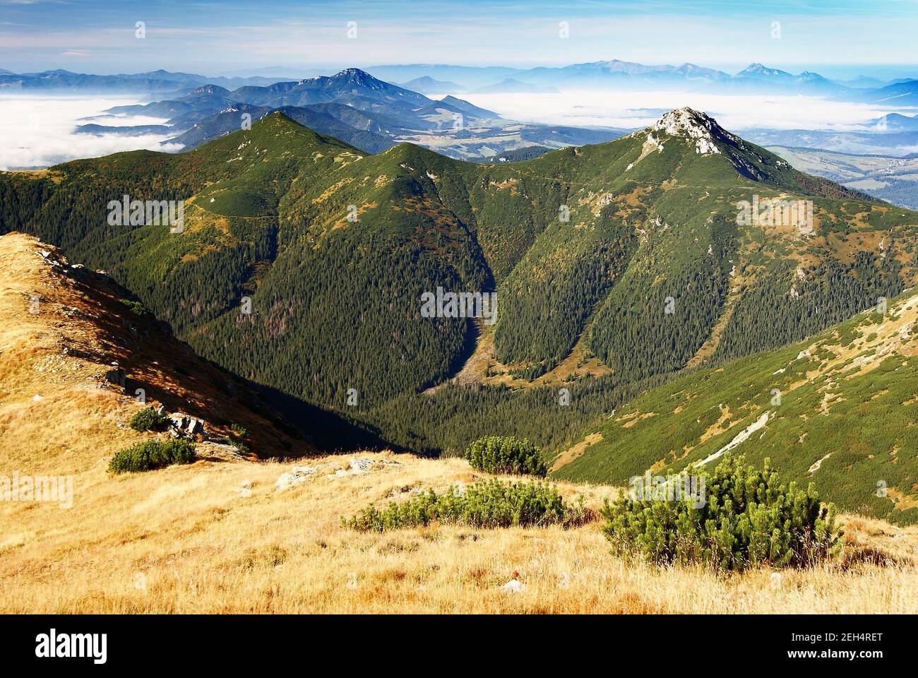 Tatra fatra mountains area hi-res stock photography and images - Alamy