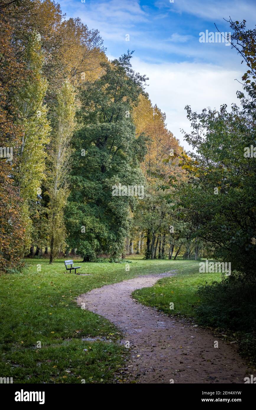 Winding path bench hi-res stock photography and images - Alamy
