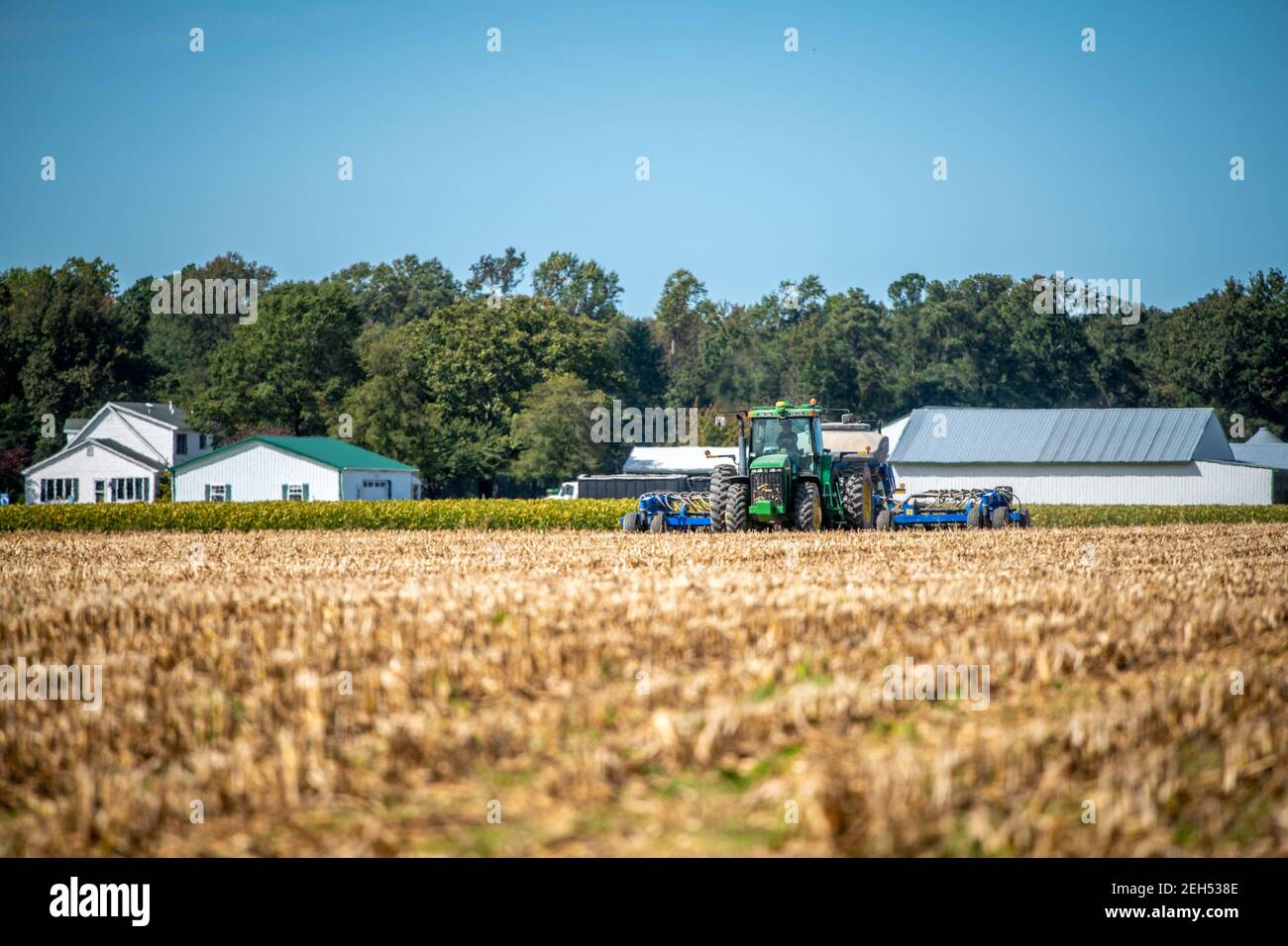 Cover crop planting after corn on Eastern Shore of Maryland Stock Photo ...