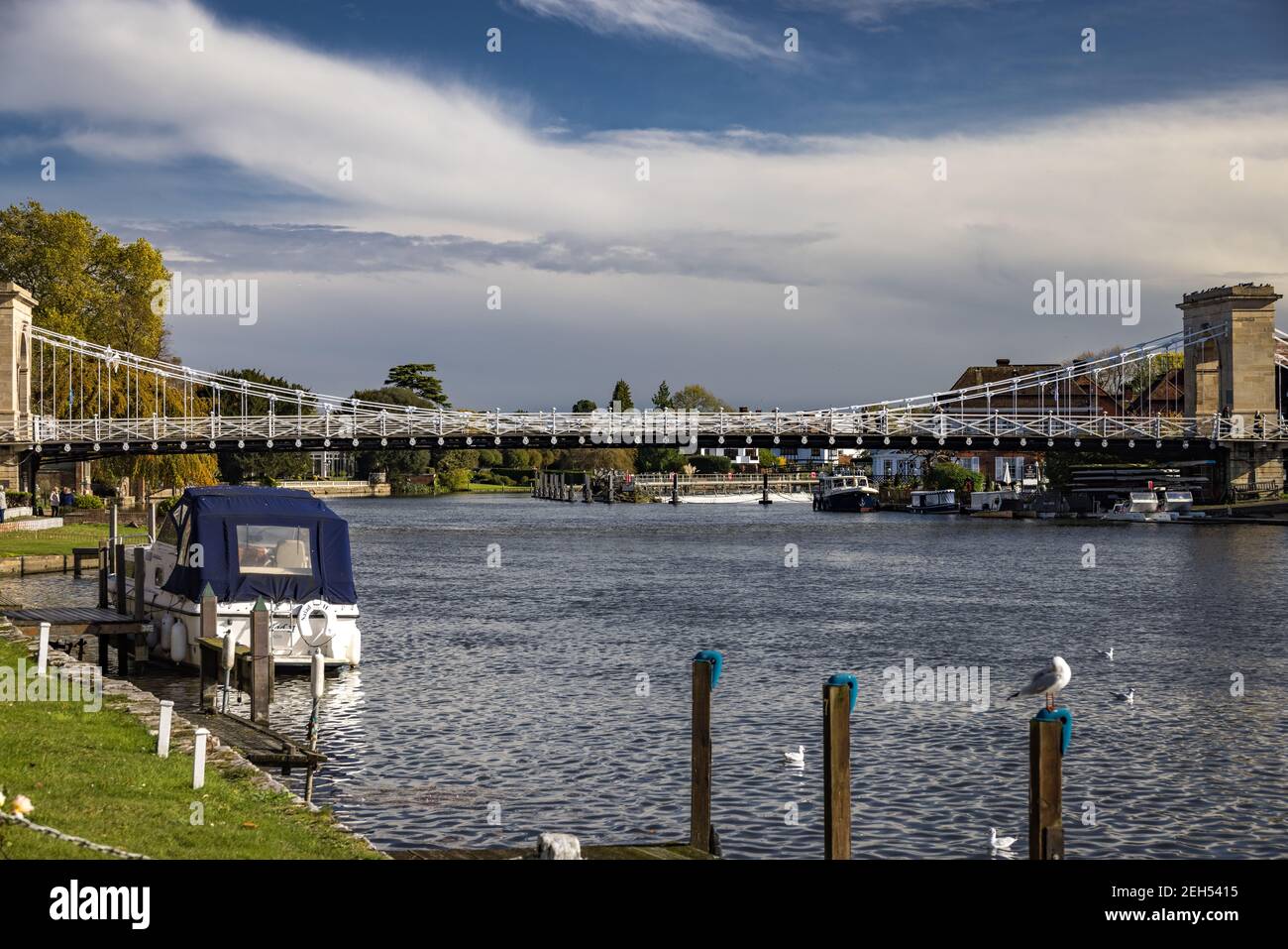 Marlow Suspension Bridge over the River Thames, England Stock Photo - Alamy