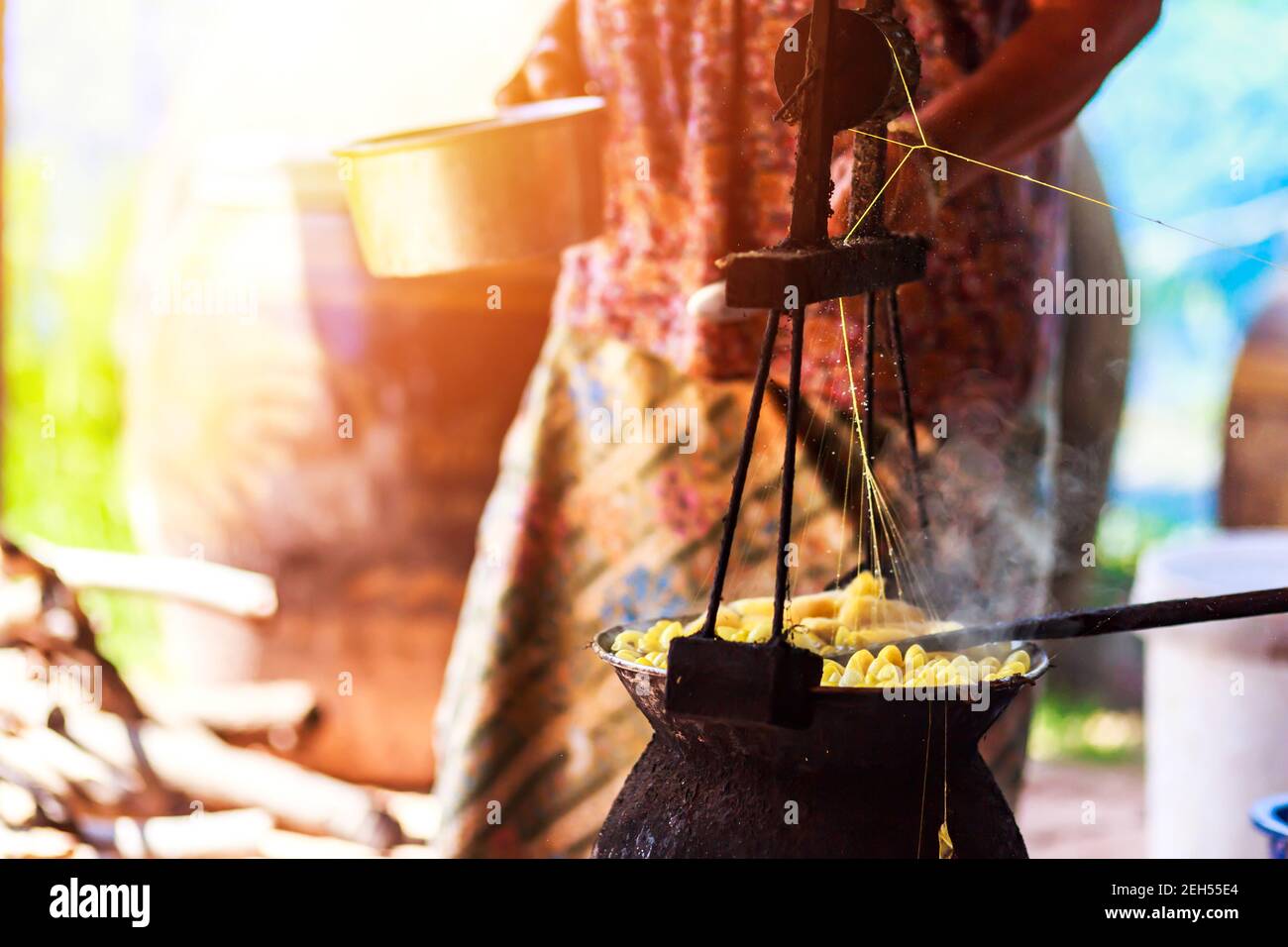 Boiling the cocoons hi-res stock photography and images - Alamy