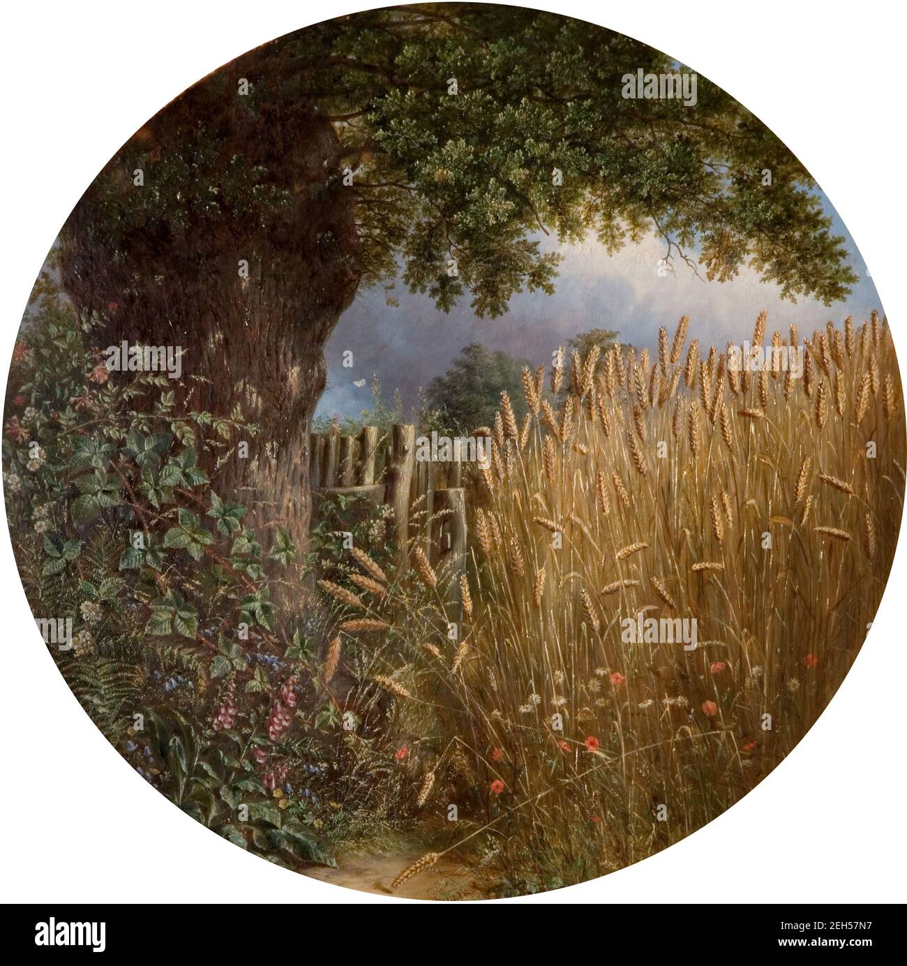 Year 1857 hi-res stock photography and images - Alamy