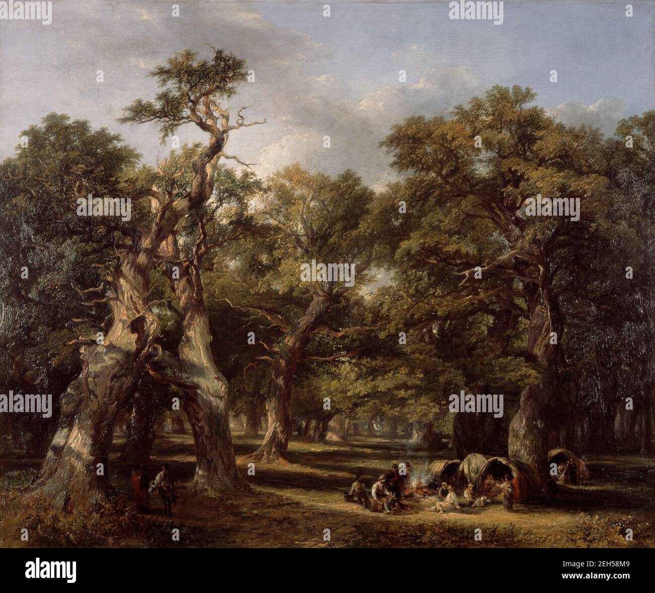 Arden forest hi-res stock photography and images - Alamy