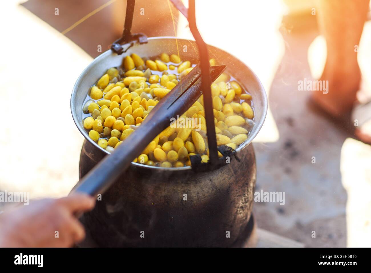 Boiling the cocoons hi-res stock photography and images - Alamy