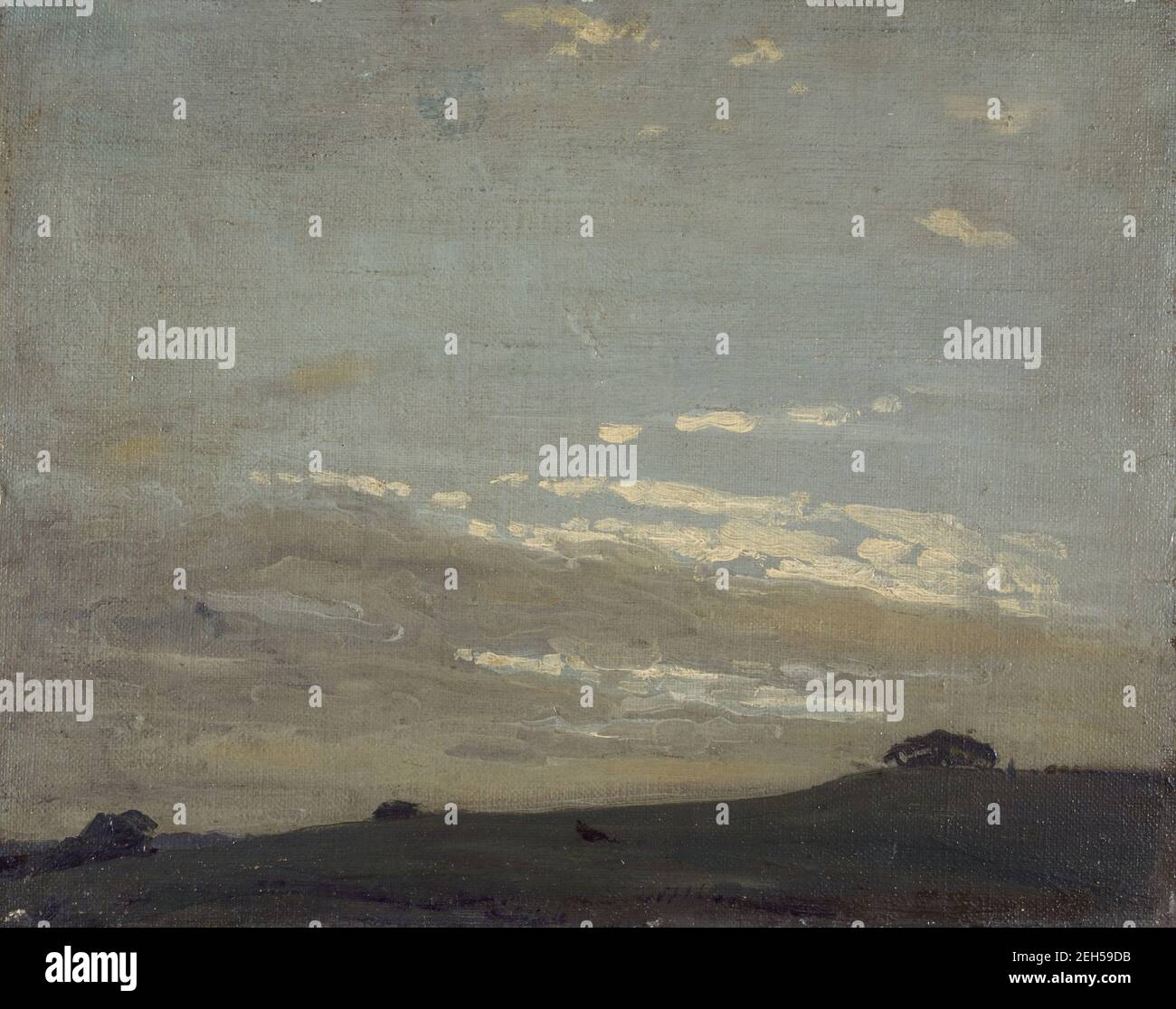 Nicholson museum and art gallery hi-res stock photography and images ...