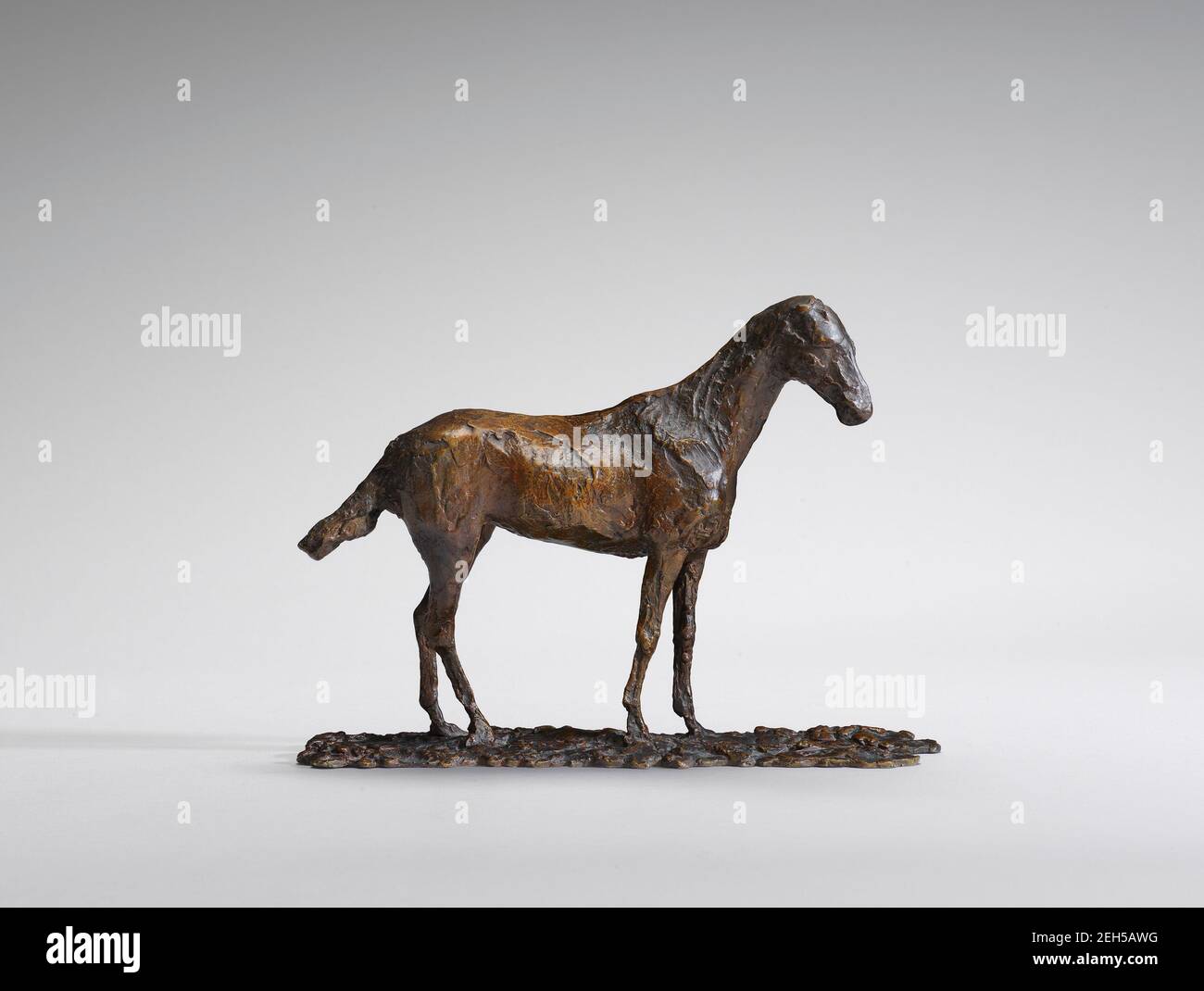 Study of a Mustang, original wax 1860s, cast by 1921 Stock Photo - Alamy