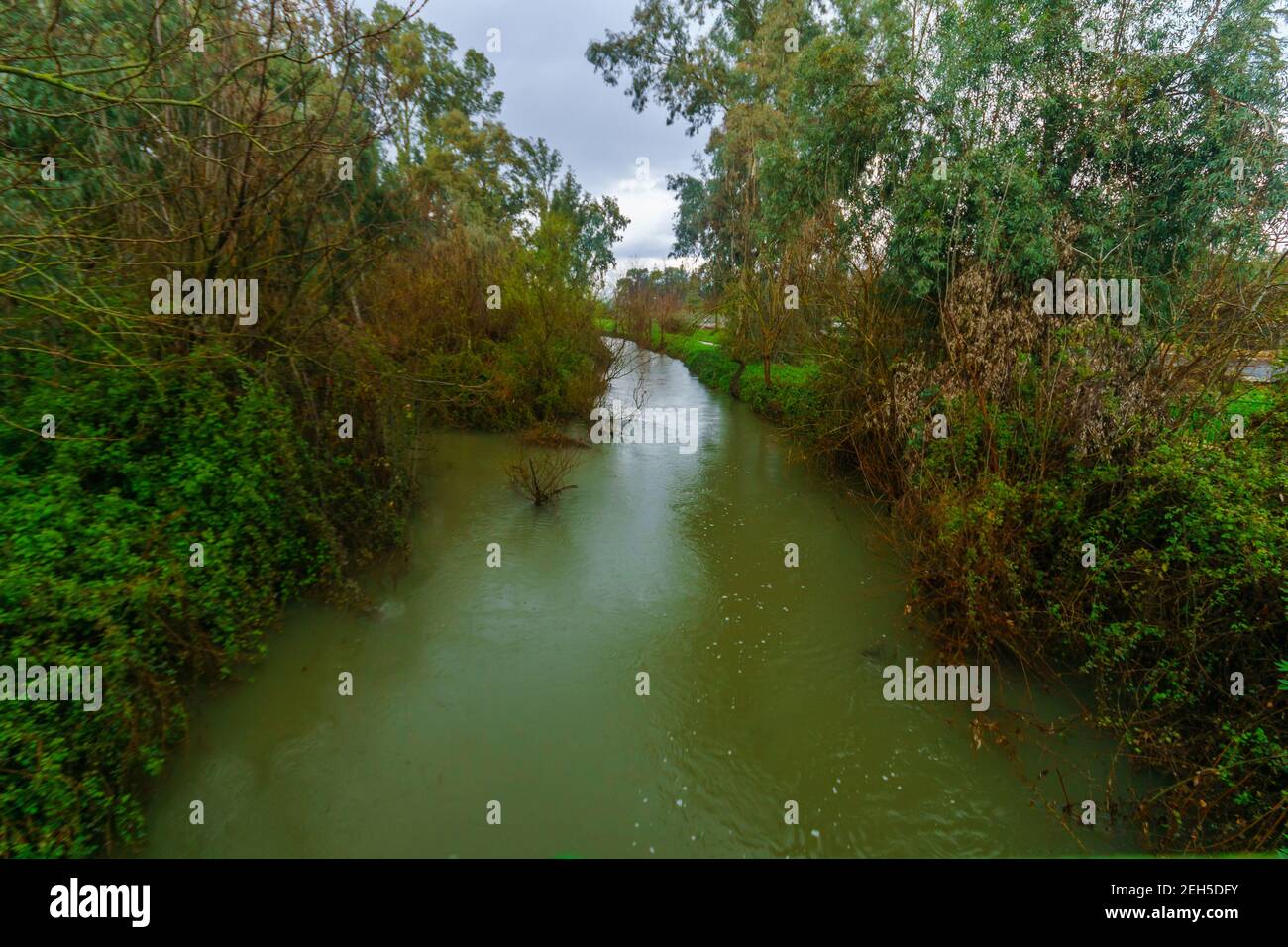 View of the Dan stream, a source of the Jordan River. Hula Valley ...