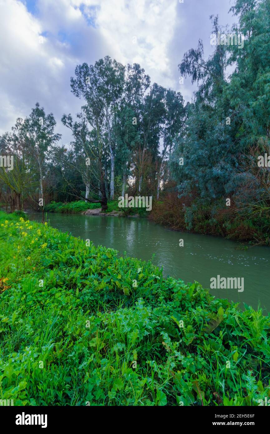 View of the Dan stream, a source of the Jordan River. Hula Valley ...