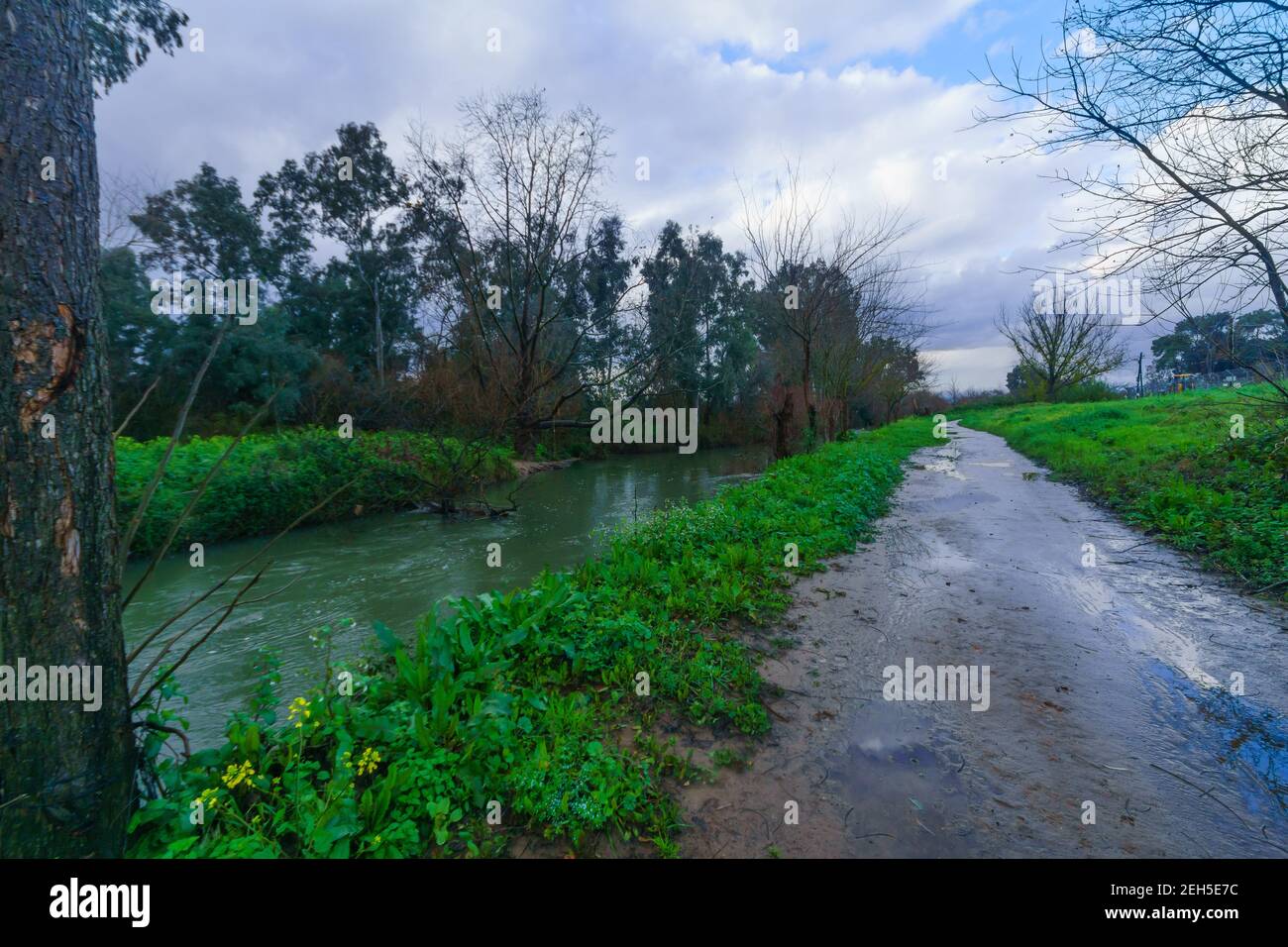 View of the Dan stream, a source of the Jordan River. Hula Valley ...